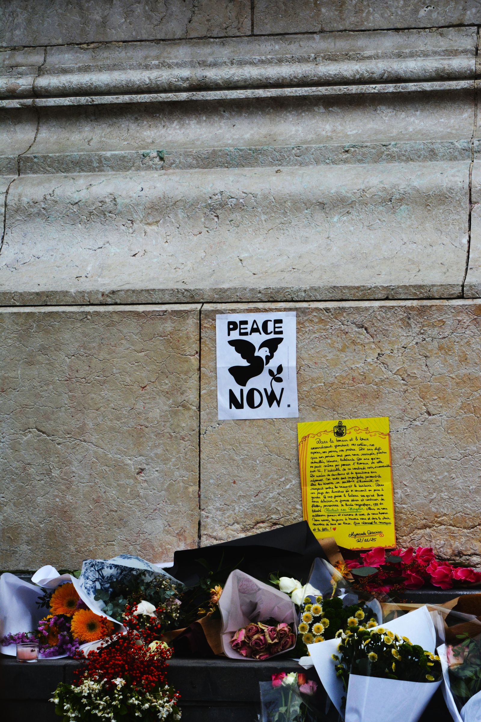 Peace Photos, Download The BEST Free Peace Stock Photos & HD Images