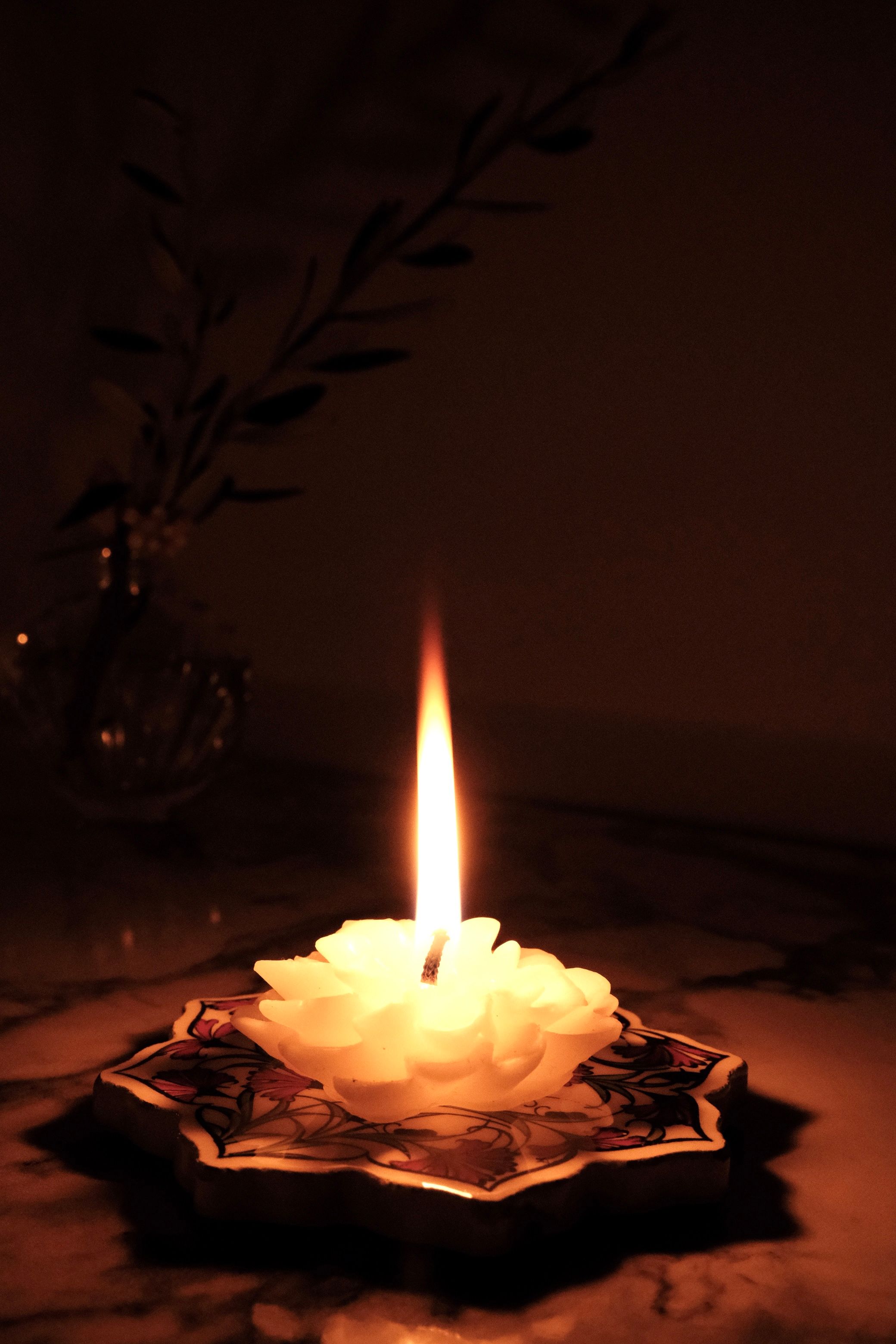 Totojitu Wax Photos, Download The BEST Free Totojitu Wax Stock Photos ...