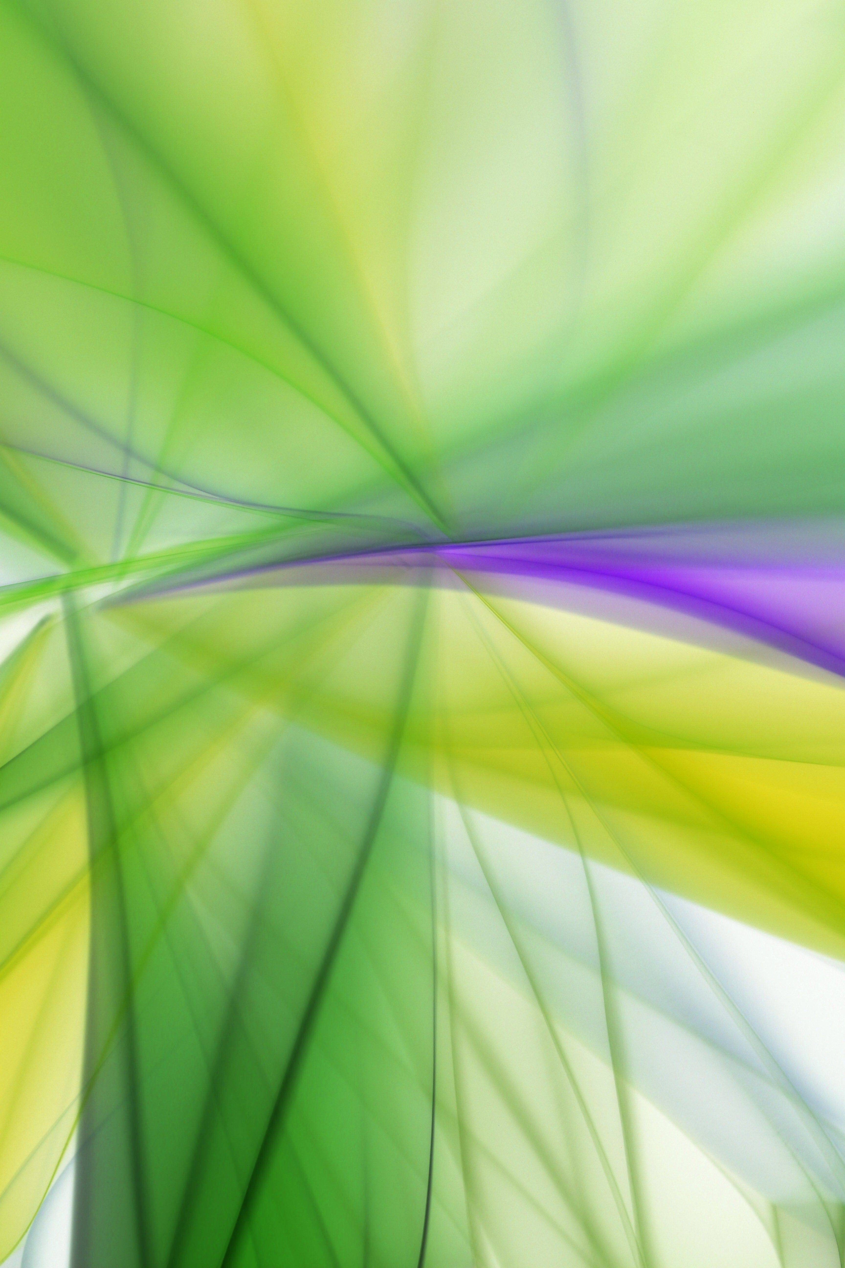 Colorful Abstract Light Patterns in Motion · Free Stock Photo