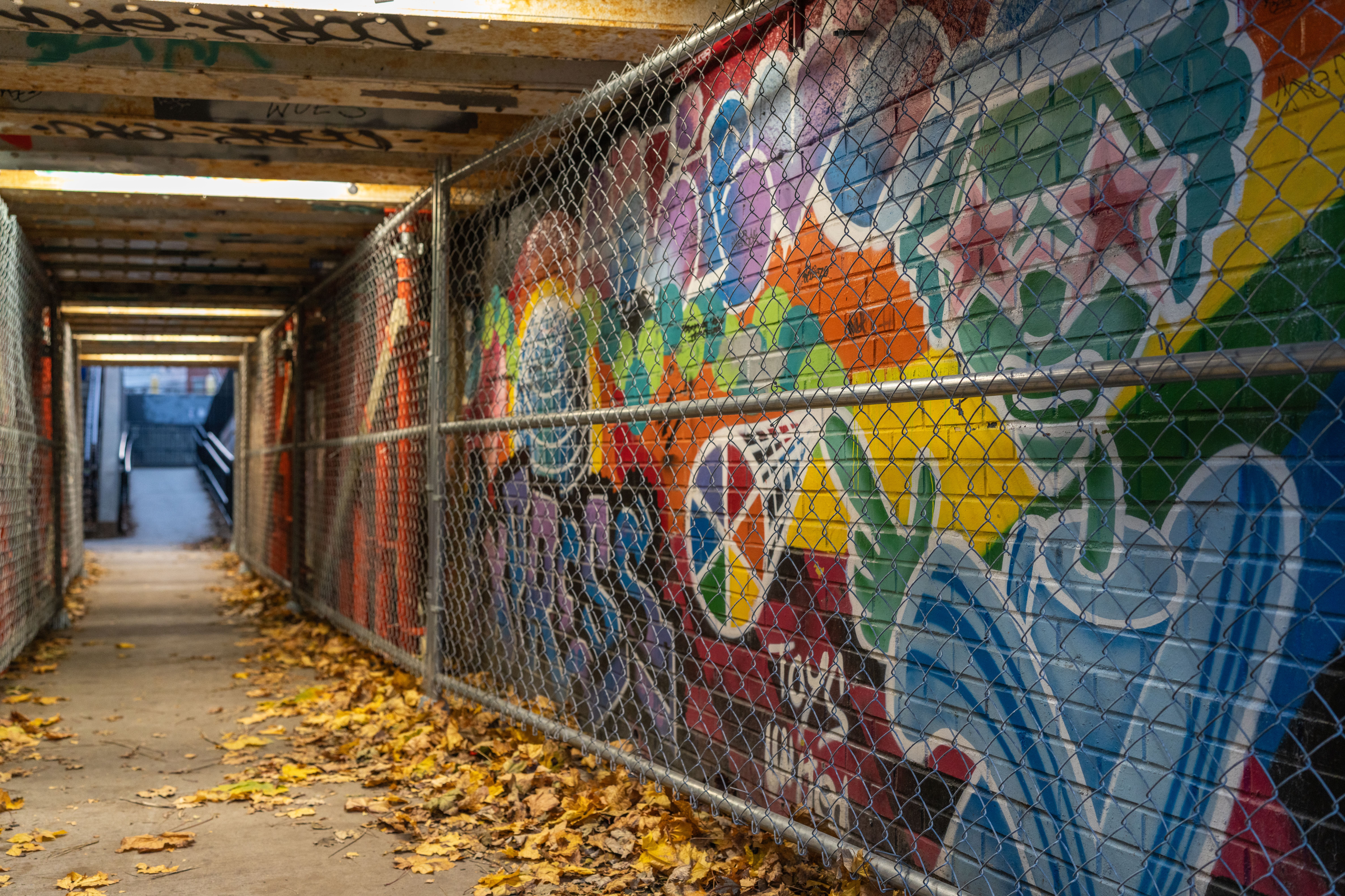 Colorful Urban Graffiti in Cambridge Tunnel · Free Stock Photo