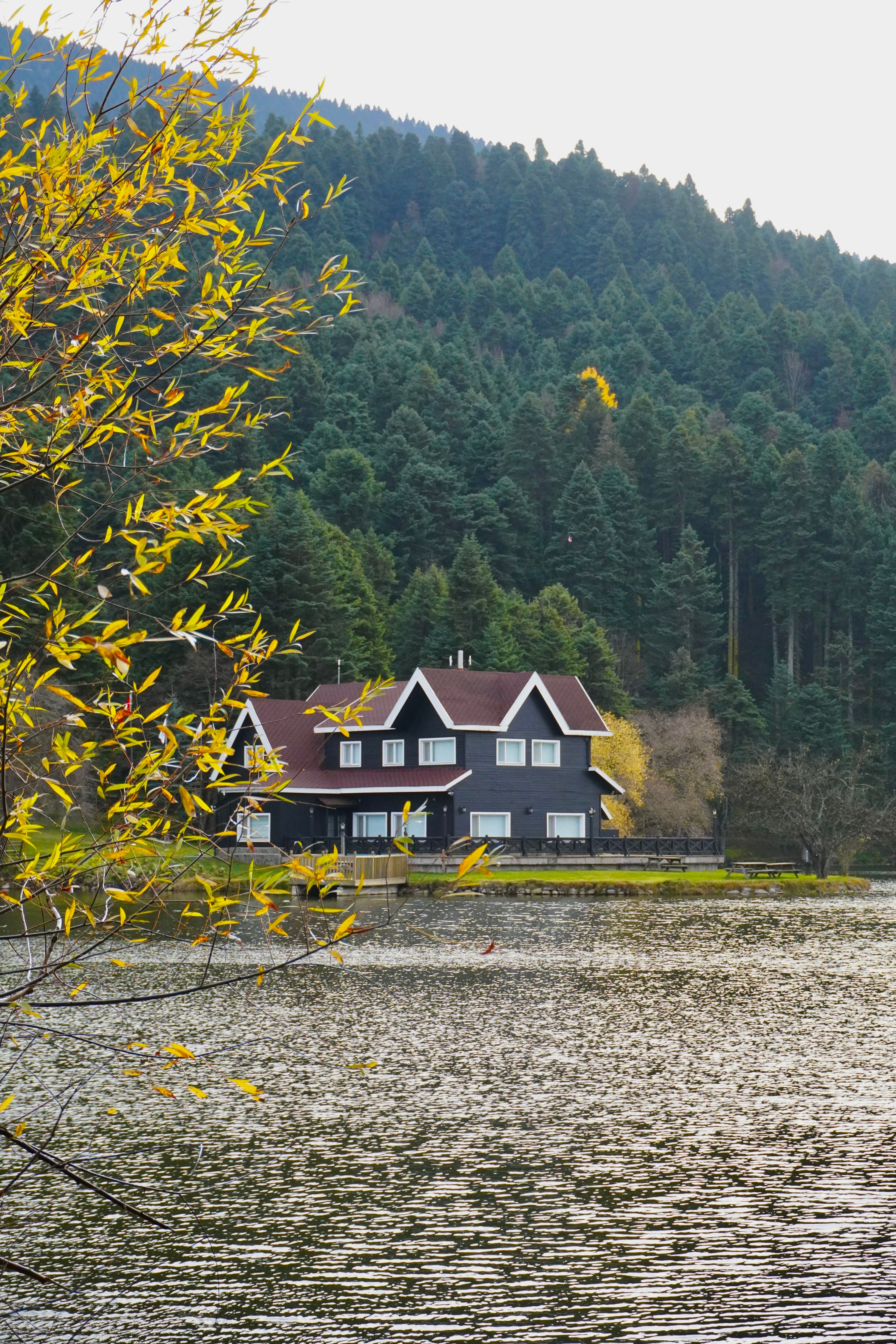 Scenic Lakeside House with Autumn Foliage · Free Stock Photo