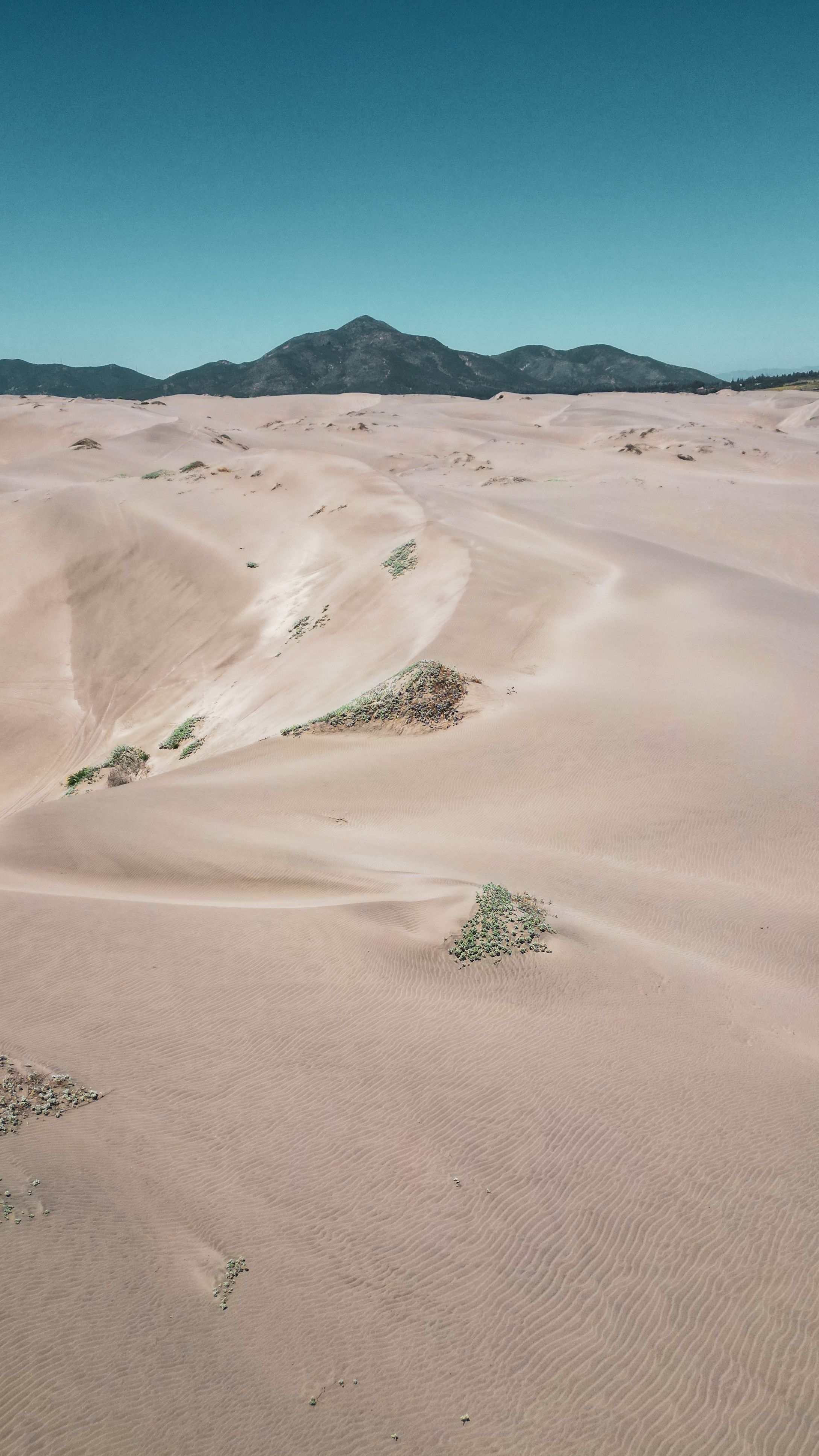 Serene Desert Landscape with Distant Mountains · Free Stock Photo