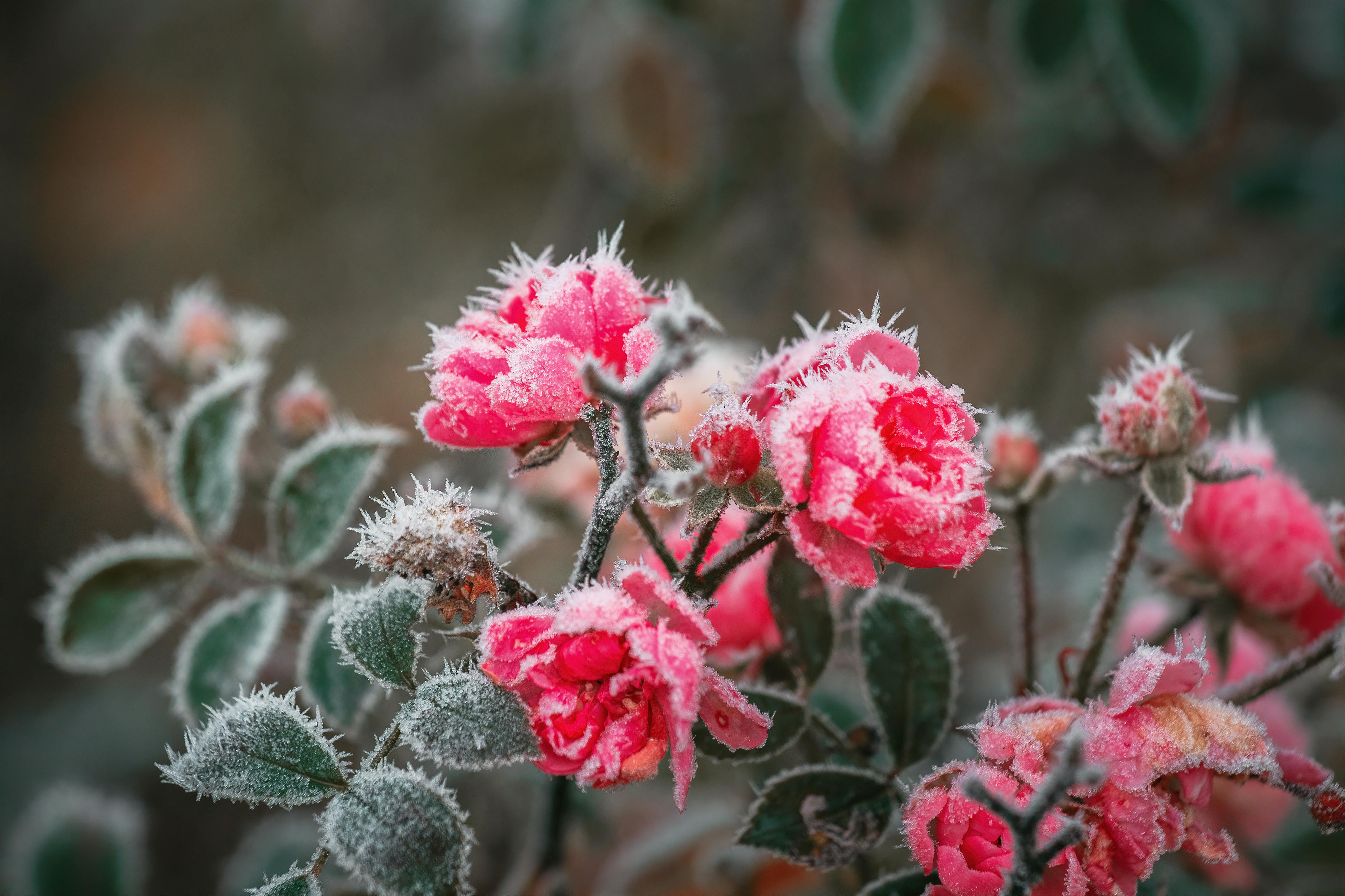 P[+ * Photos, Download The BEST Free P[+ * Stock Photos & HD Images