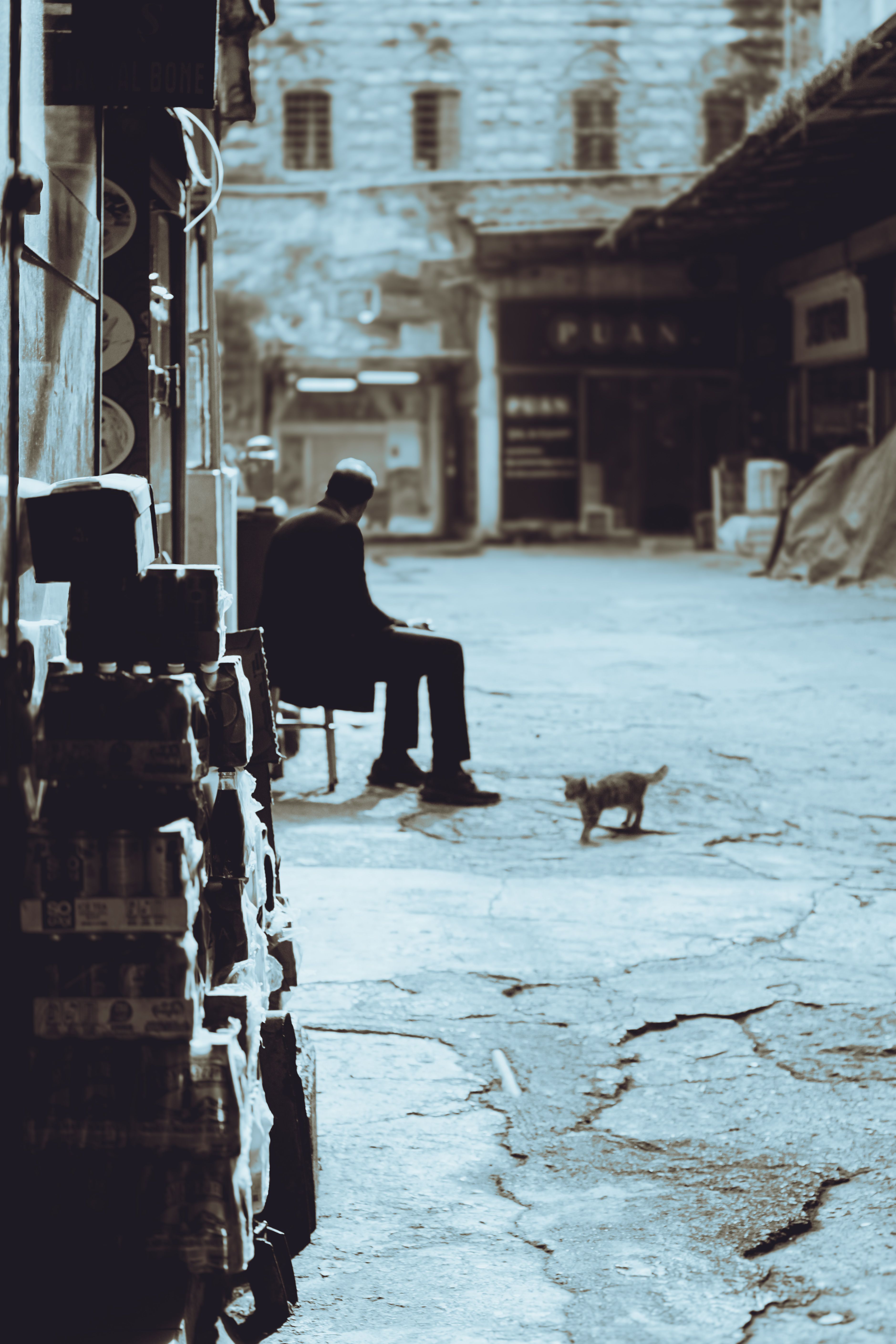 Lonely Man and Stray Cat in Urban Alley · Free Stock Photo