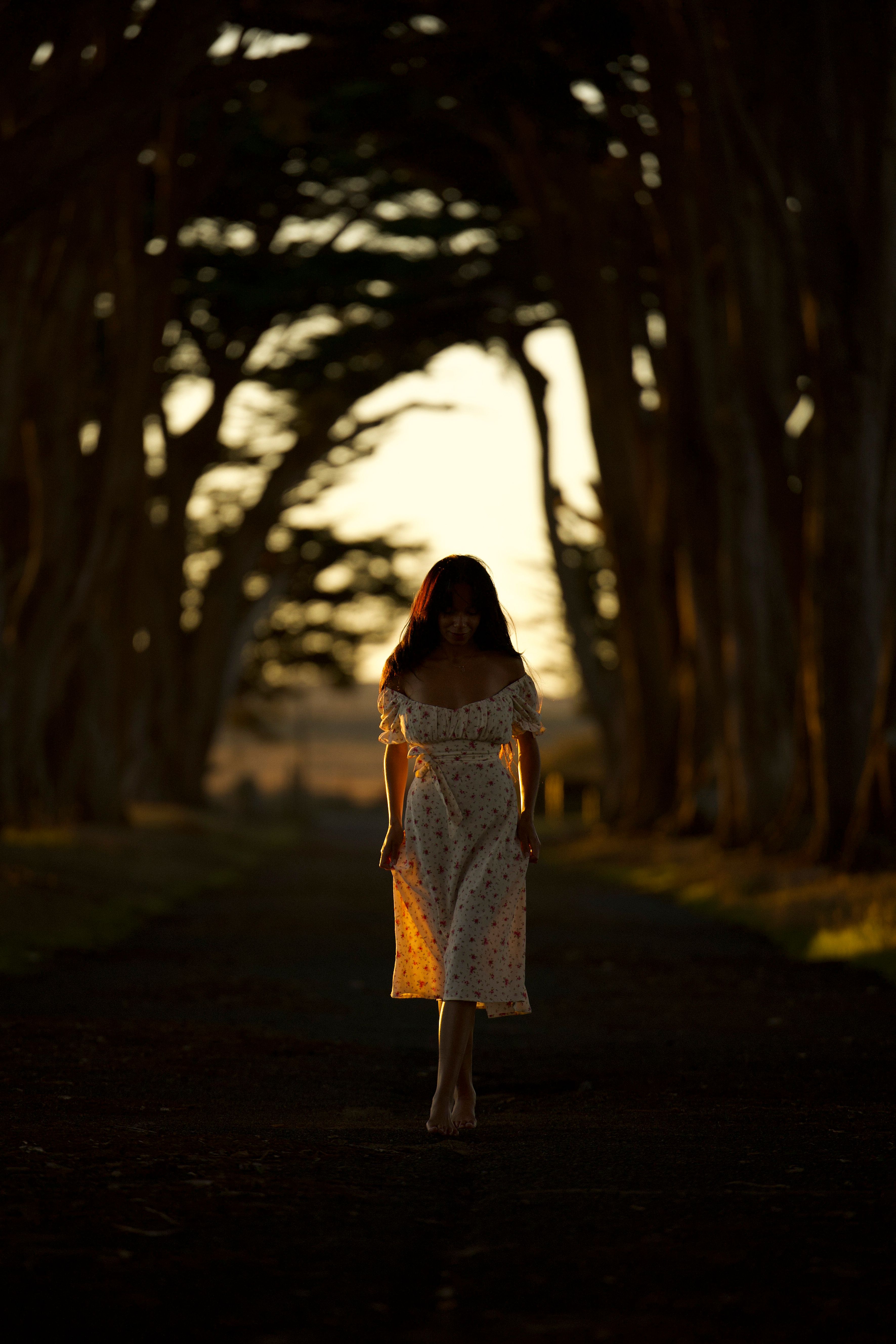 Drees Photos, Download The BEST Free Drees Stock Photos & HD Images