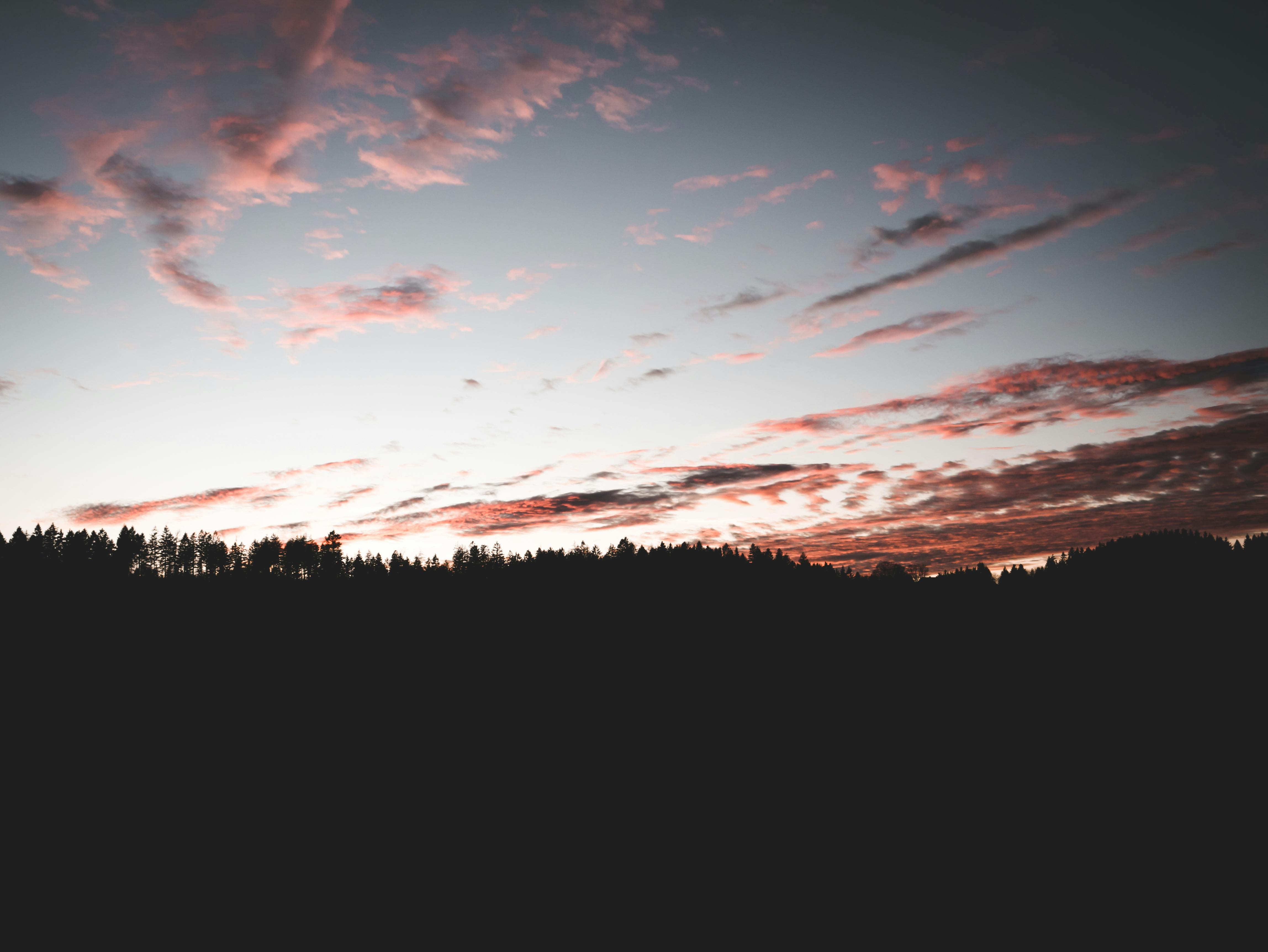 1000+ Interesting Red Sky Photos · Pexels · Free Stock Photos