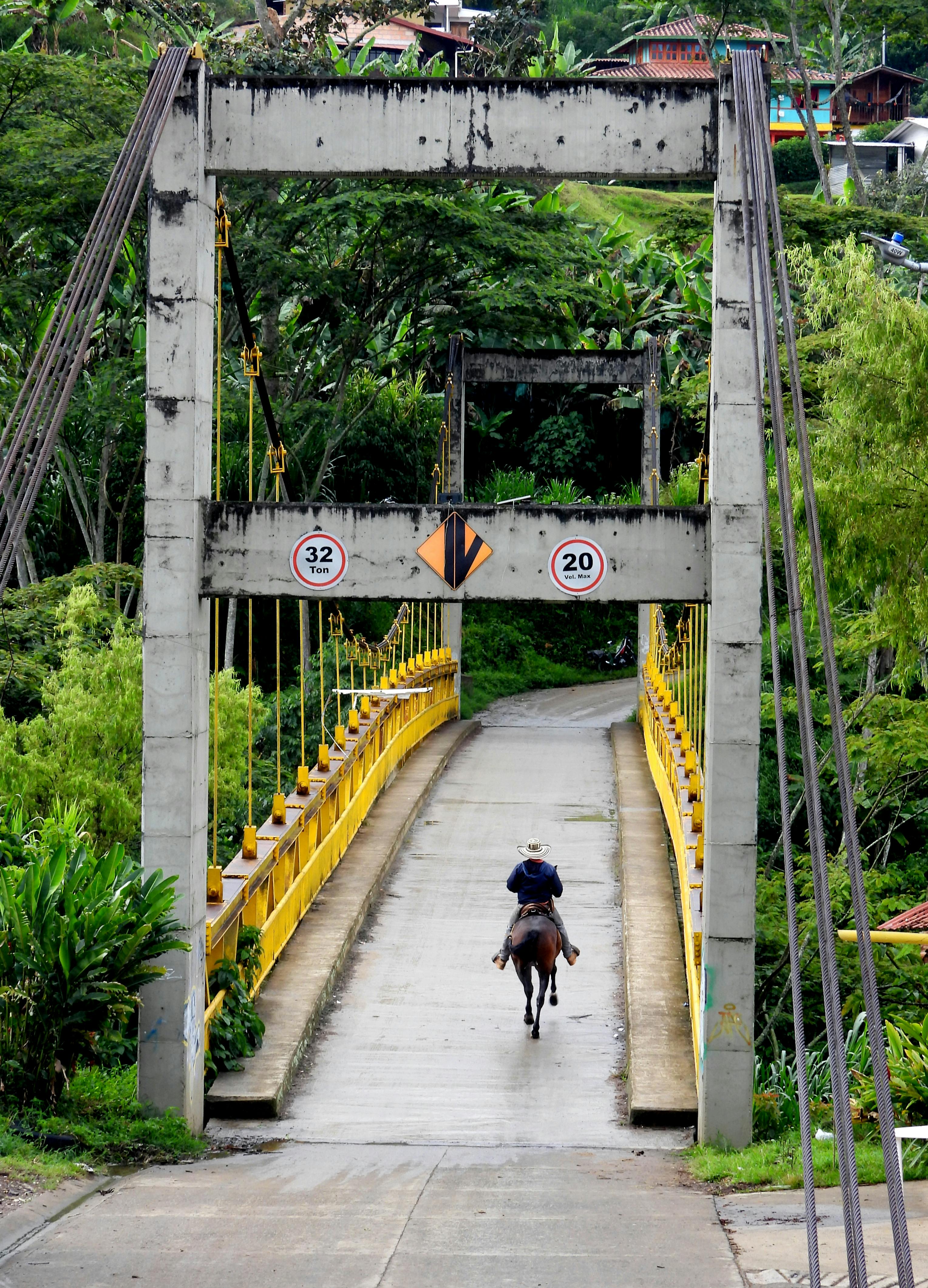 David Riaño Cortés - Fotografi