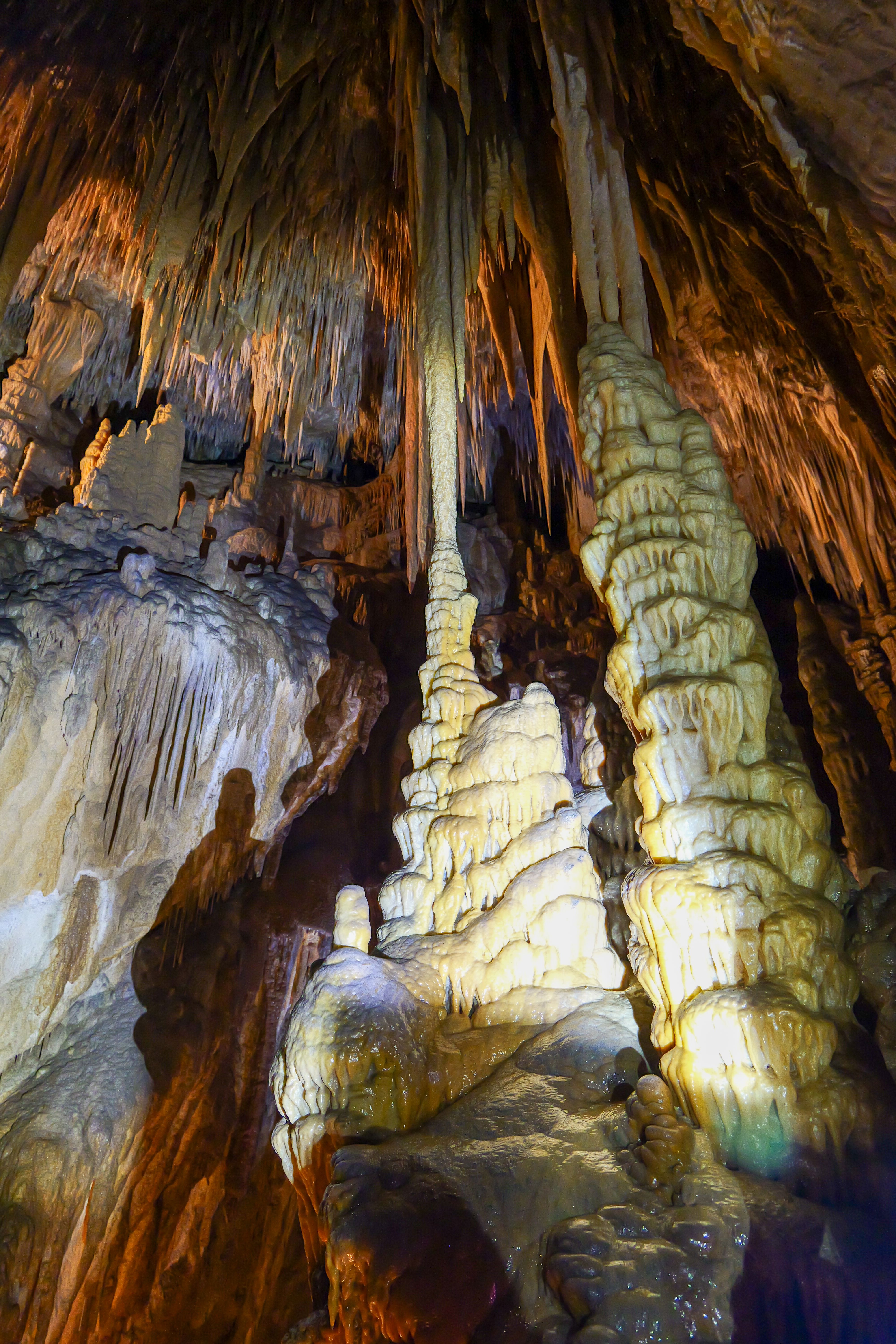 Karst Basketbal Photos, Download The BEST Free Karst Basketbal Stock ...