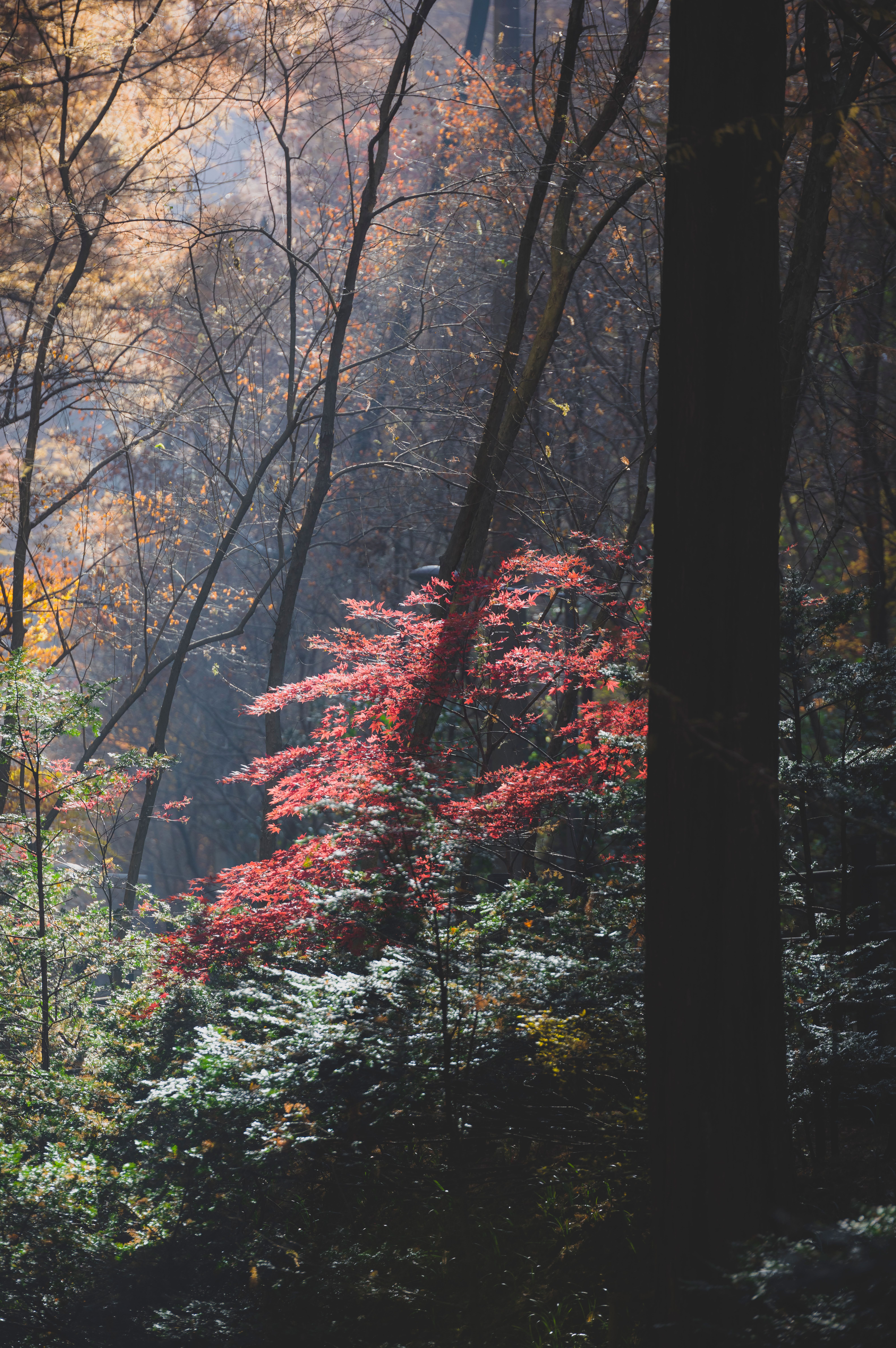 Higher Fps Photos, Download The BEST Free Higher Fps Stock Photos & HD ...