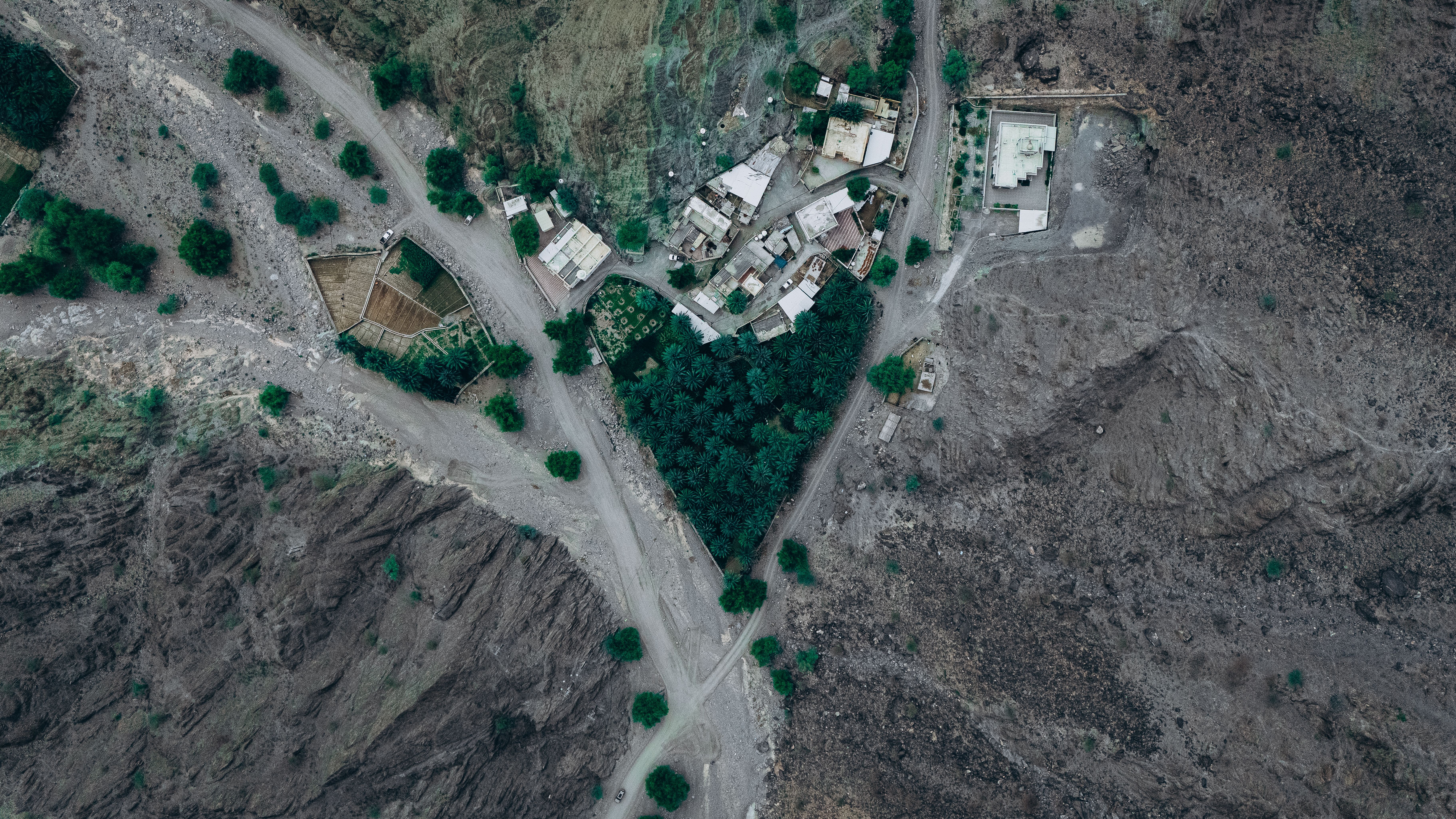 Aerial View of Nizwa, Oman with Lush Green Oasis · Free Stock Photo