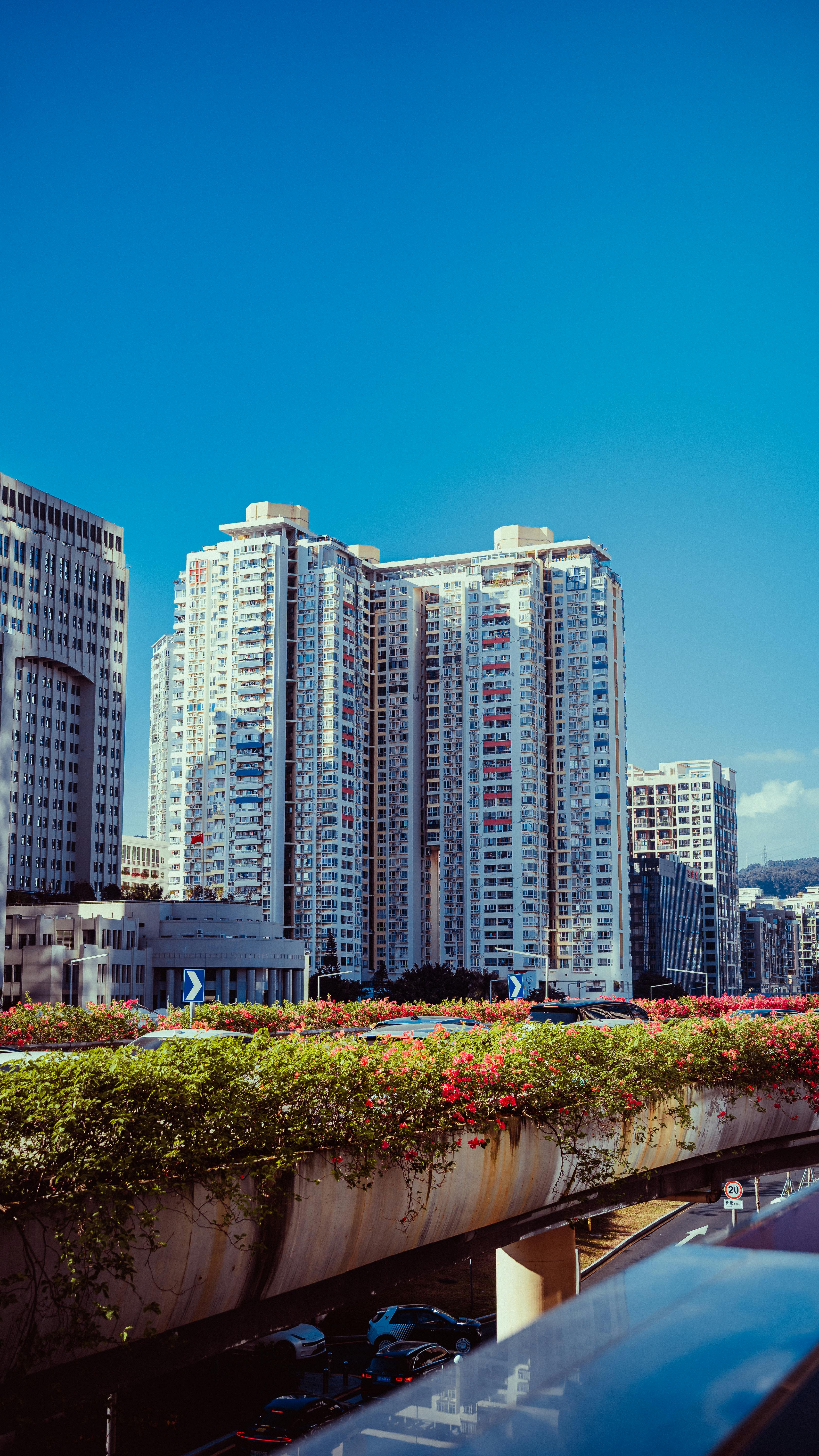 Urban High-Rise Buildings on a Clear Day · Free Stock Photo