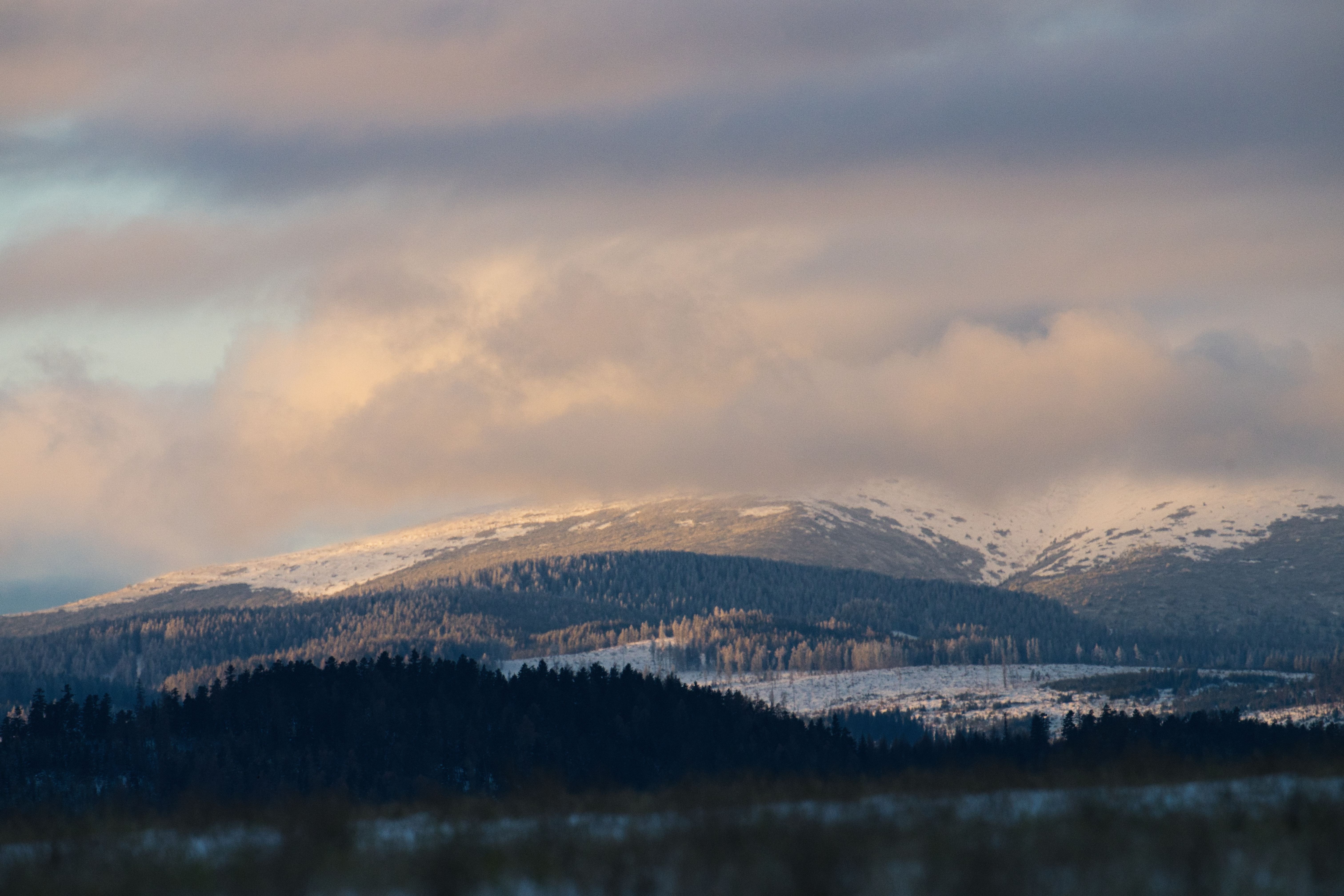 Winter Landscape in the Hills of Slovakia · Free Stock Photo