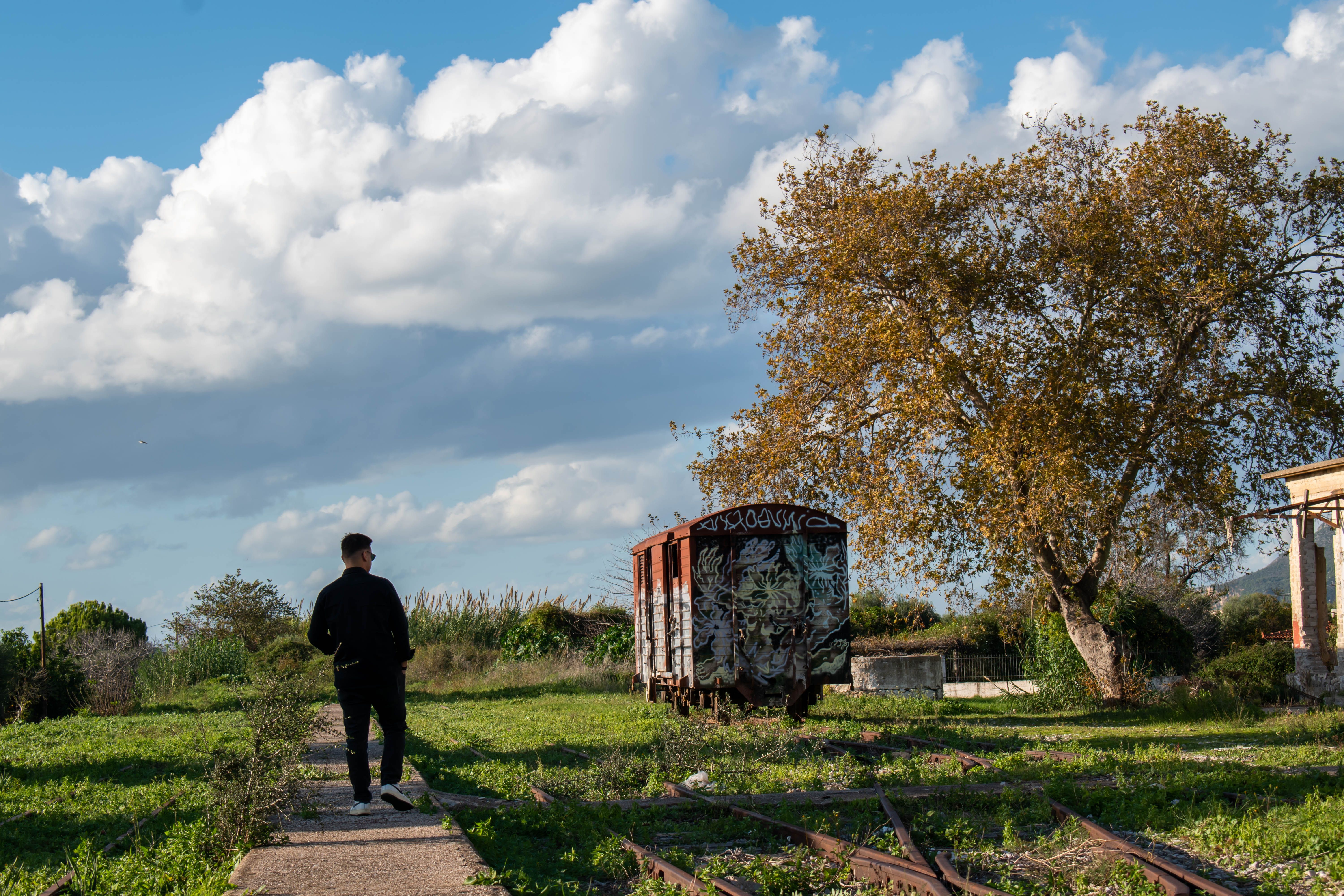Moody Walk by Overgrown Abandoned Train · Free Stock Photo