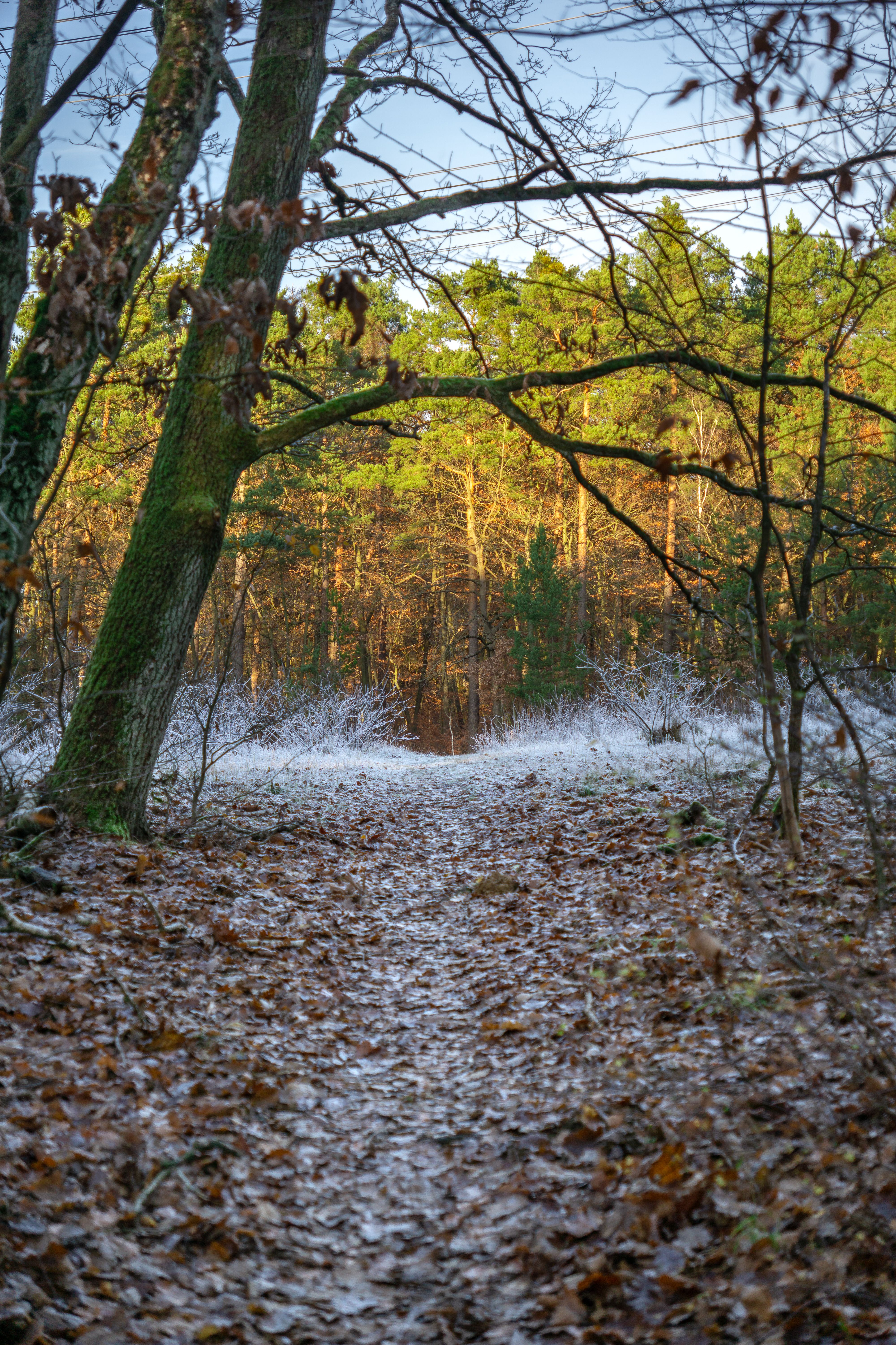 Jaunty+Walk Photos, Download The BEST Free Jaunty+Walk Stock Photos ...