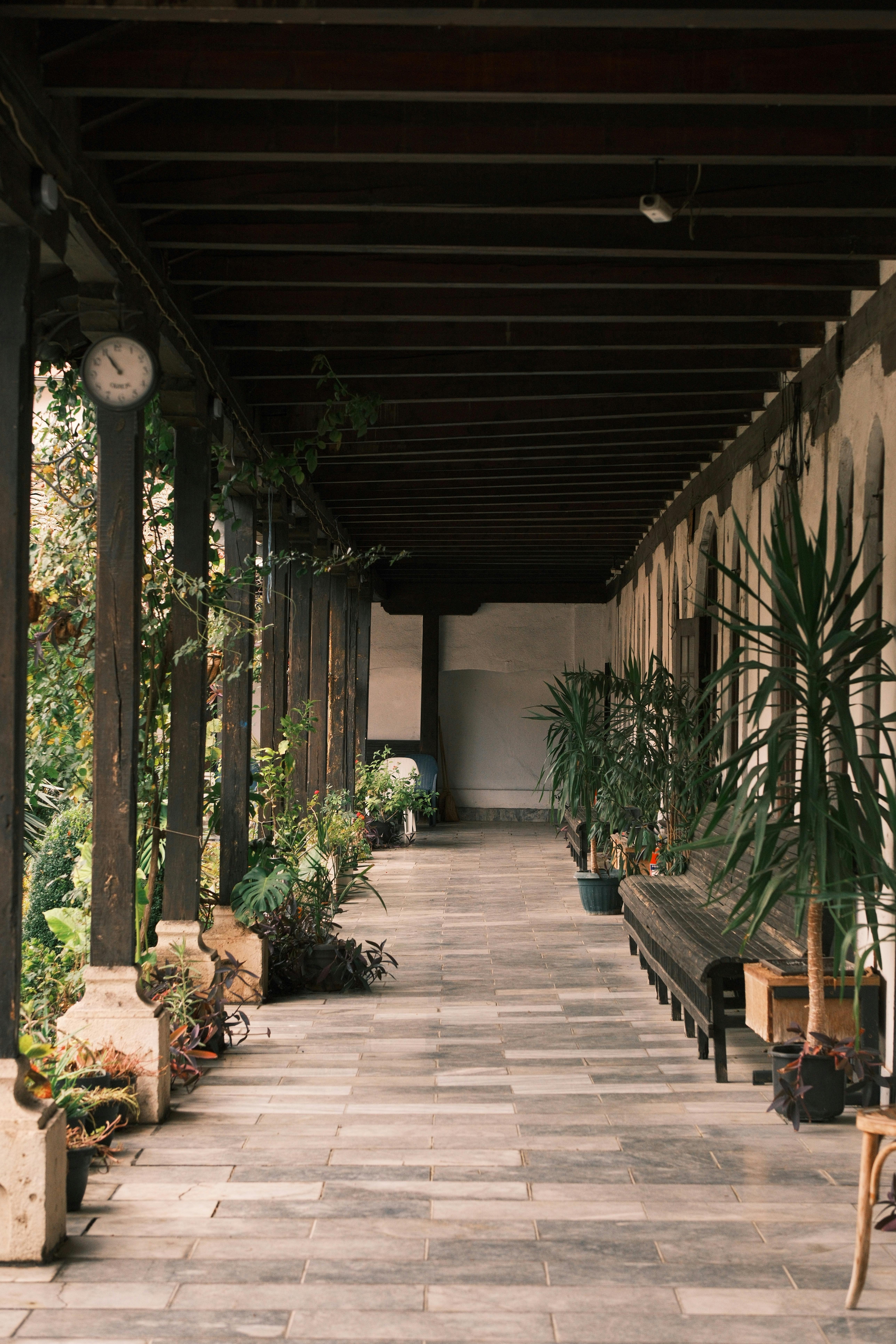 Historic Veranda with Lush Greenery and Rustic Charm · Free Stock Photo