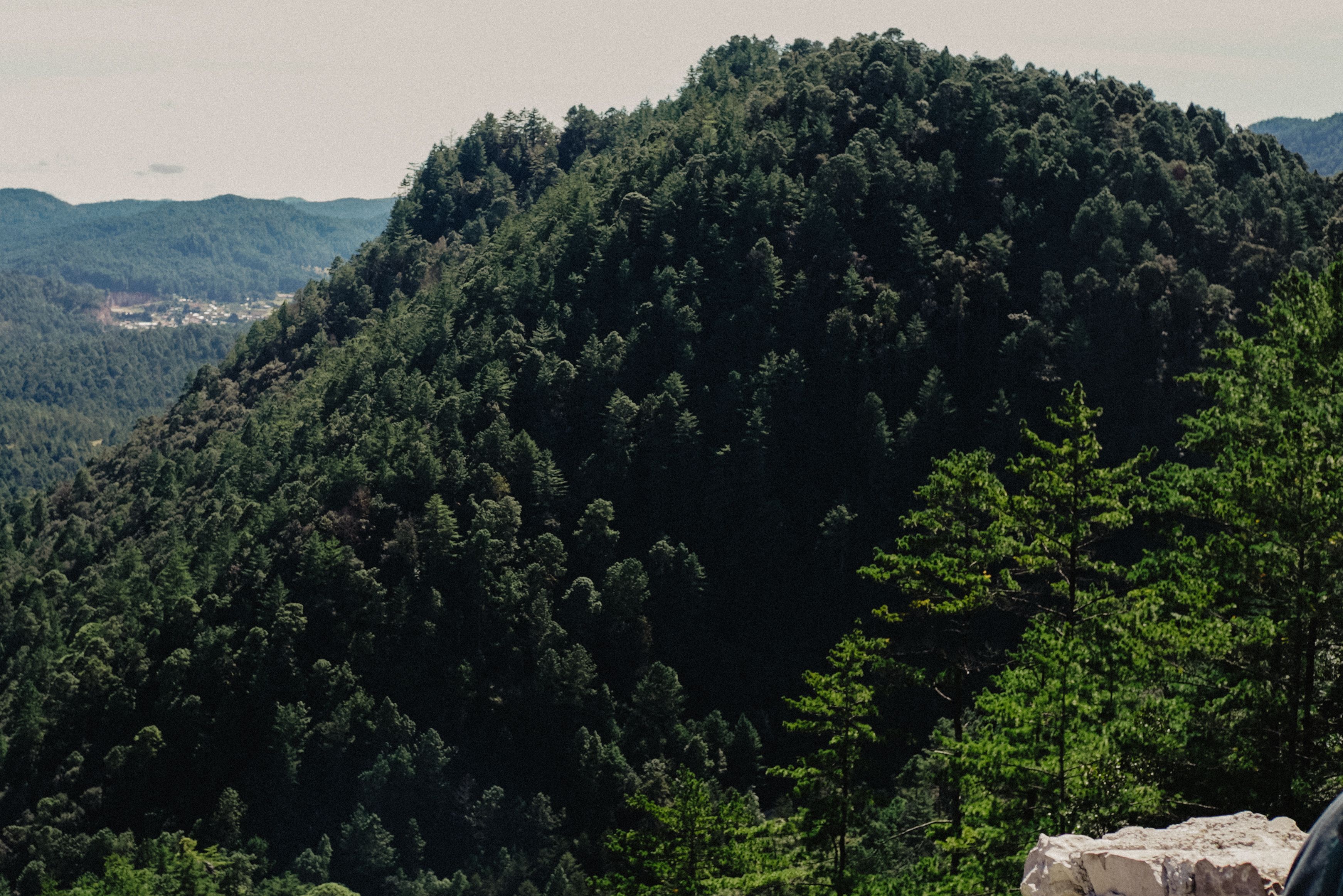 Mountain Forest Photos, Download The BEST Free Mountain Forest Stock ...