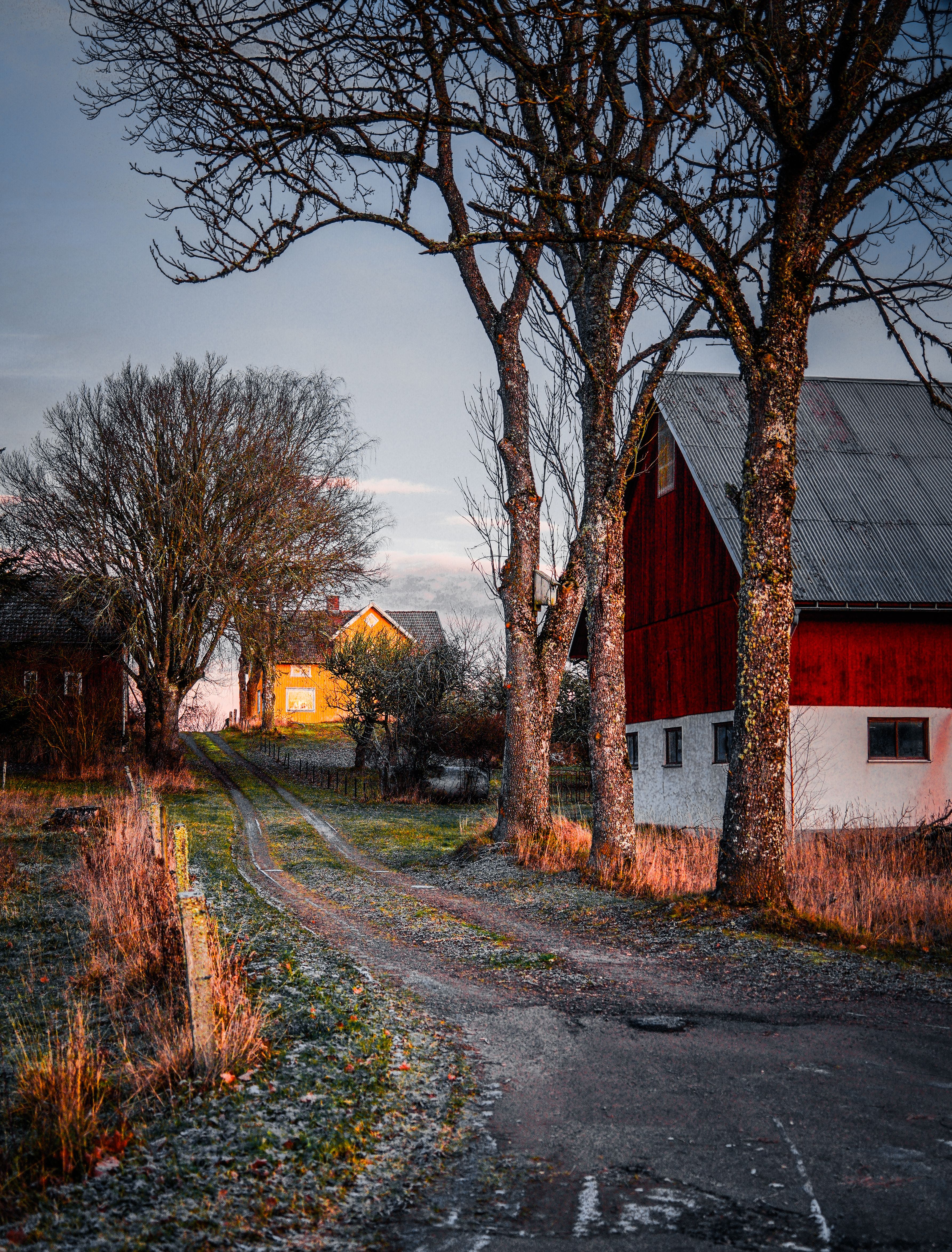 Rustic Red Barn in Cozy Winter Setting · Free Stock Photo