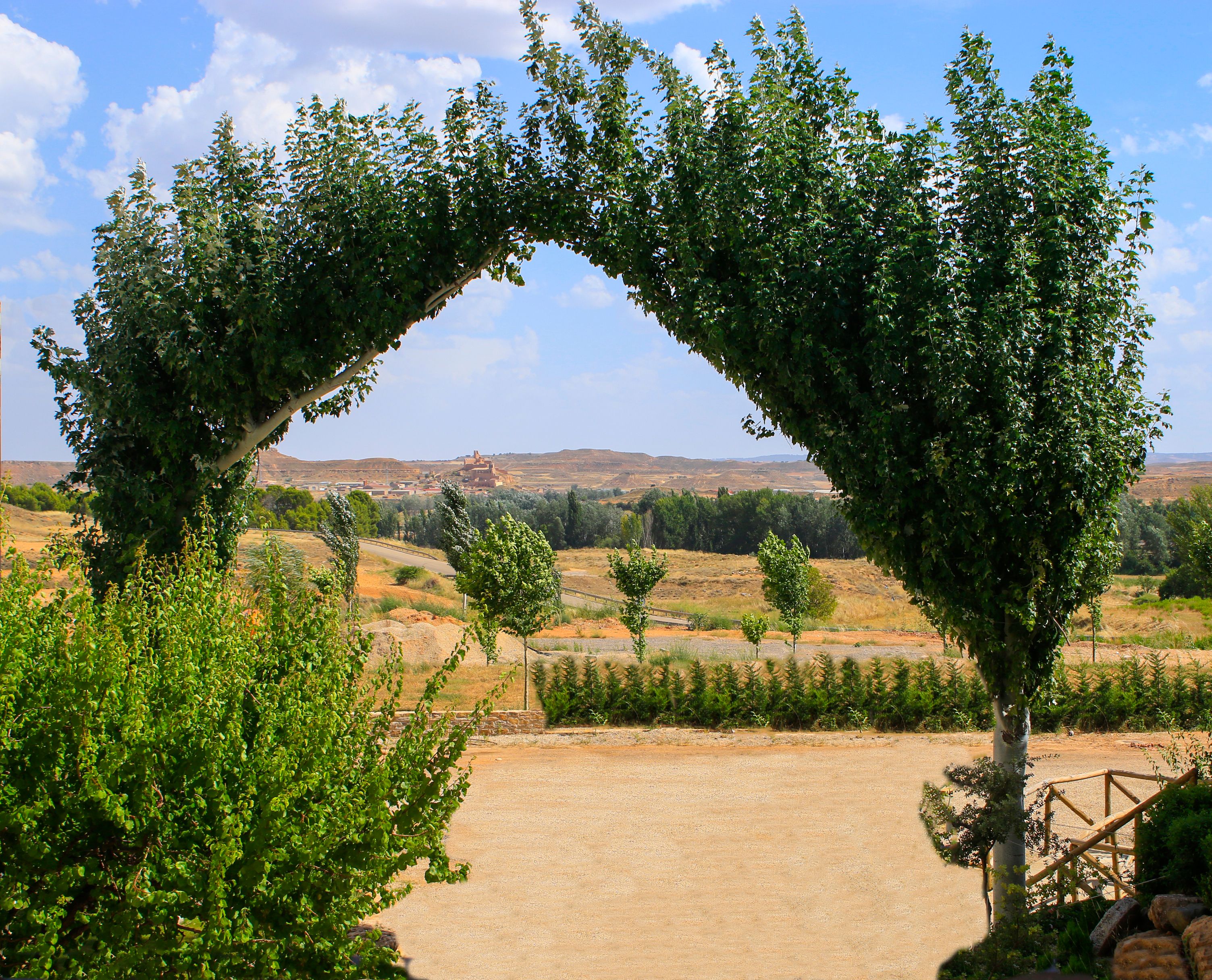 Scenic Spanish Countryside Landscape with Tree Arch · Free Stock Photo