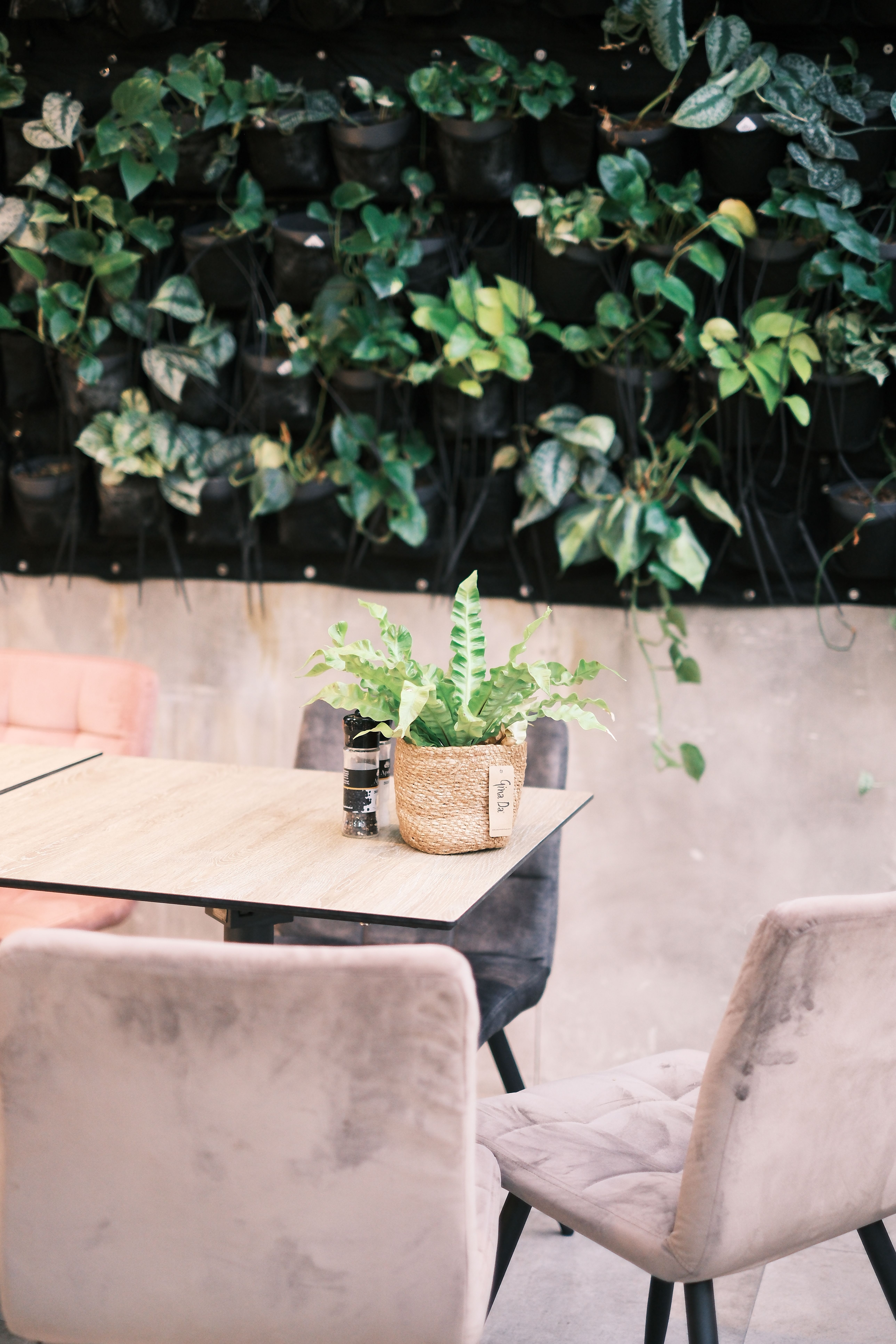 Indoor Cafe with Green Vertical Garden Decor · Free Stock Photo