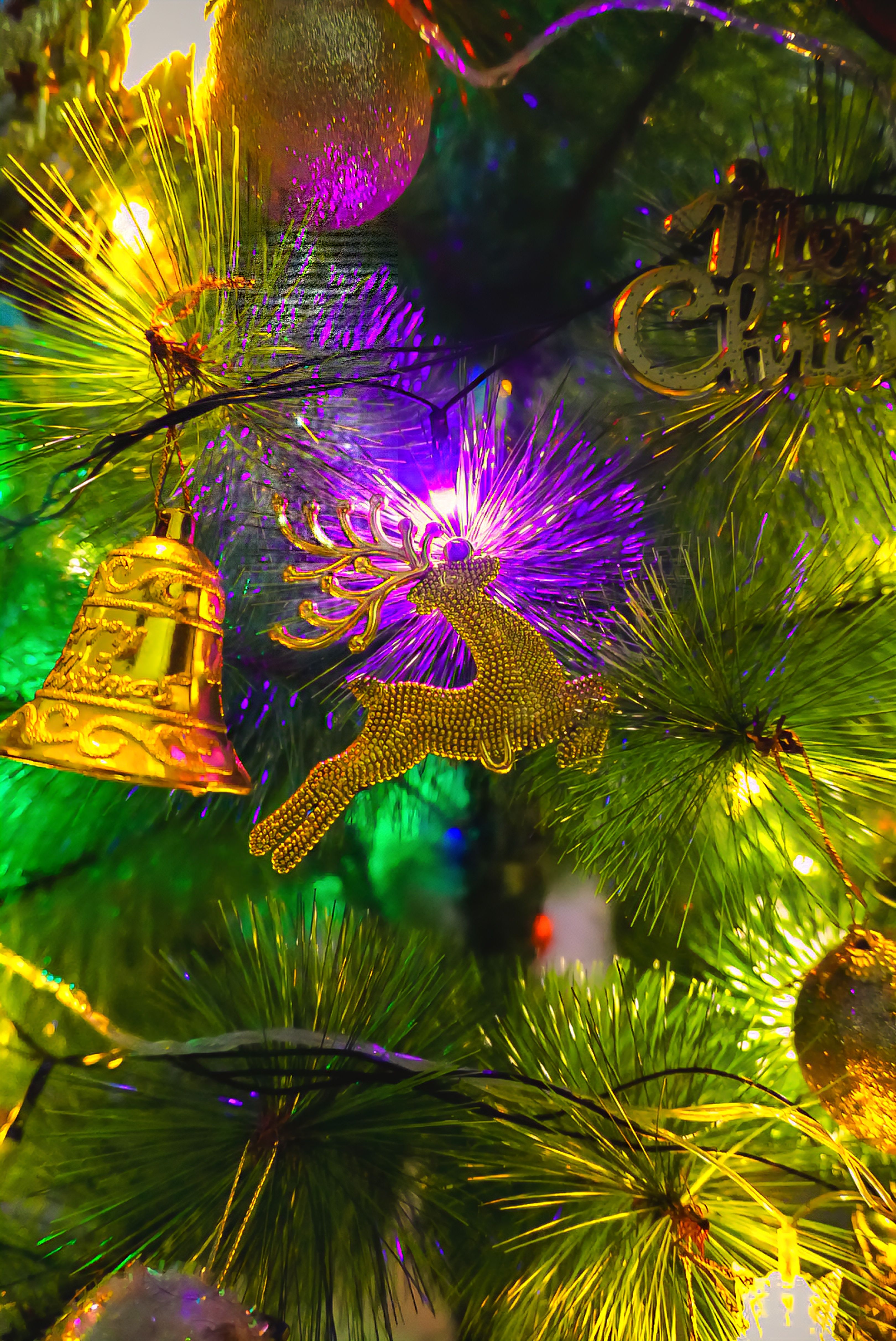 Vibrant Christmas Tree with Festive Decorations · Free Stock Photo