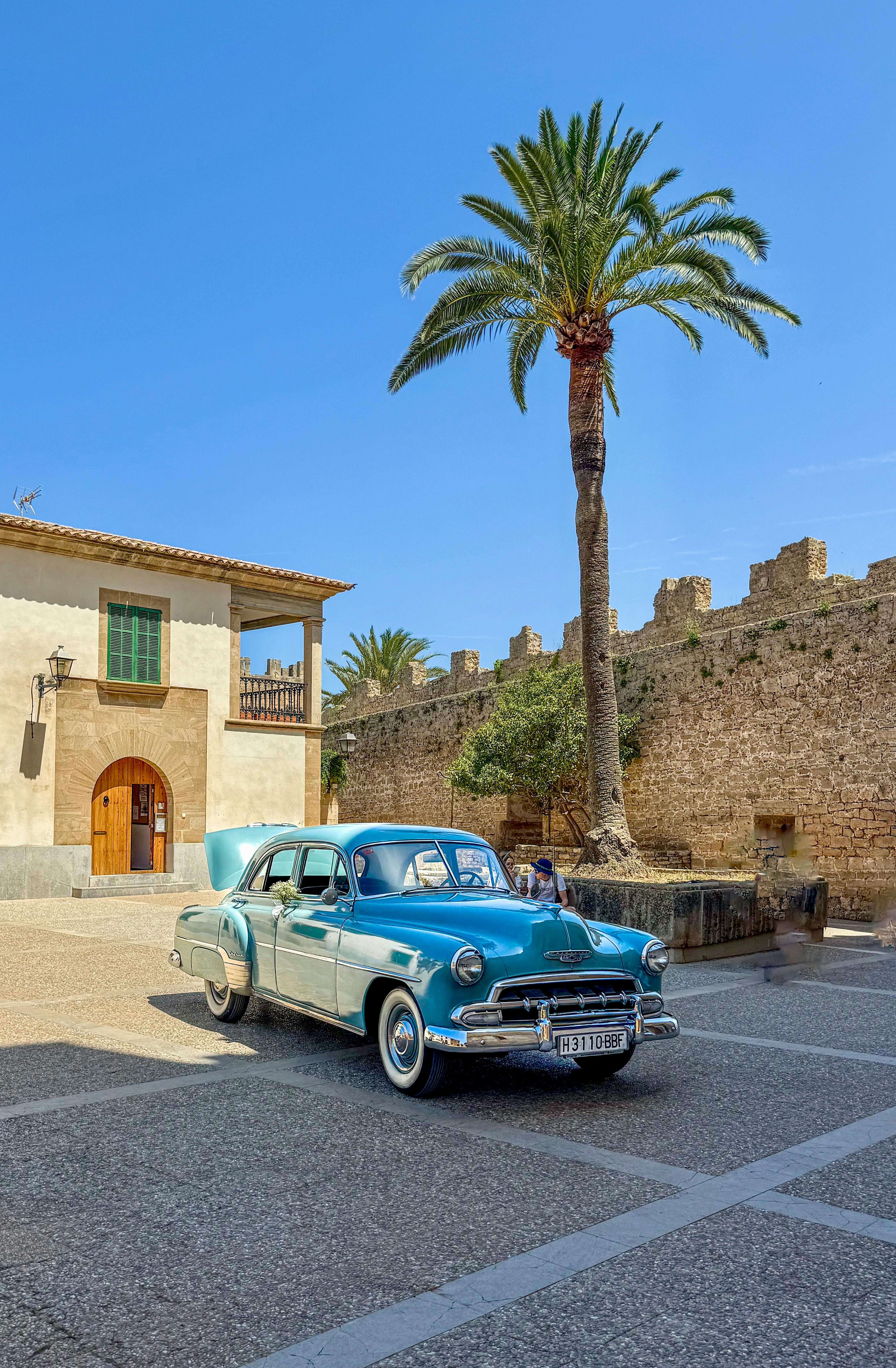 Horn Car Photos, Download The BEST Free Horn Car Stock Photos & HD Images