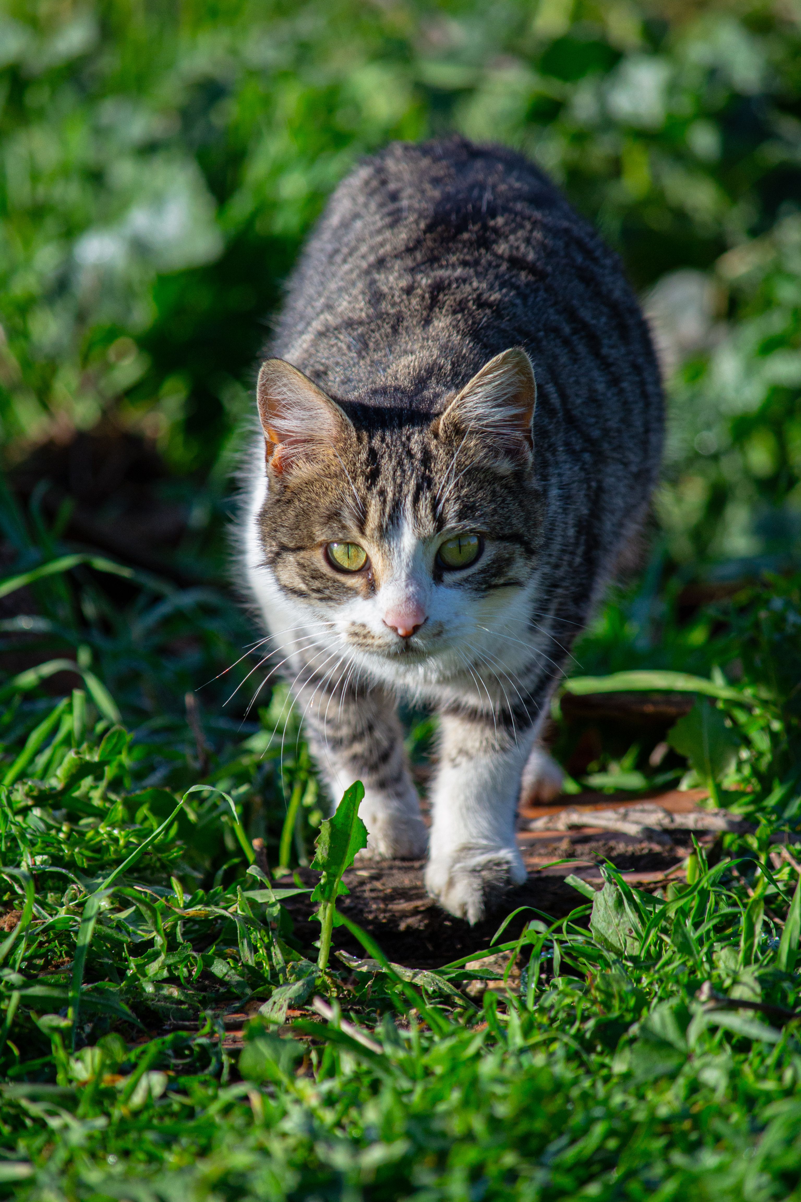 Watching+Tvt Photos, Download The BEST Free Watching+Tvt Stock Photos ...