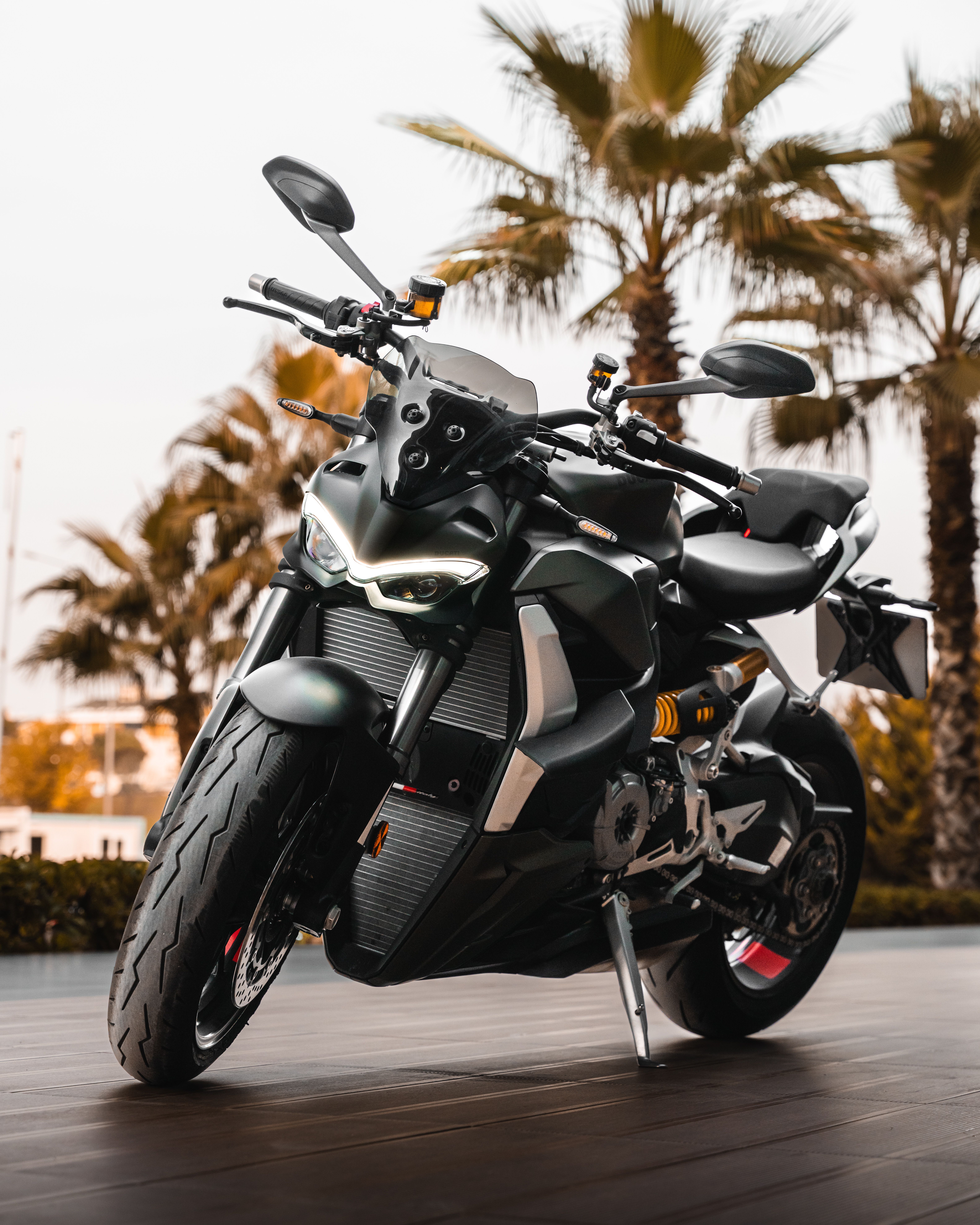 Sleek Modern Motorcycle in Tropical Setting · Free Stock Photo