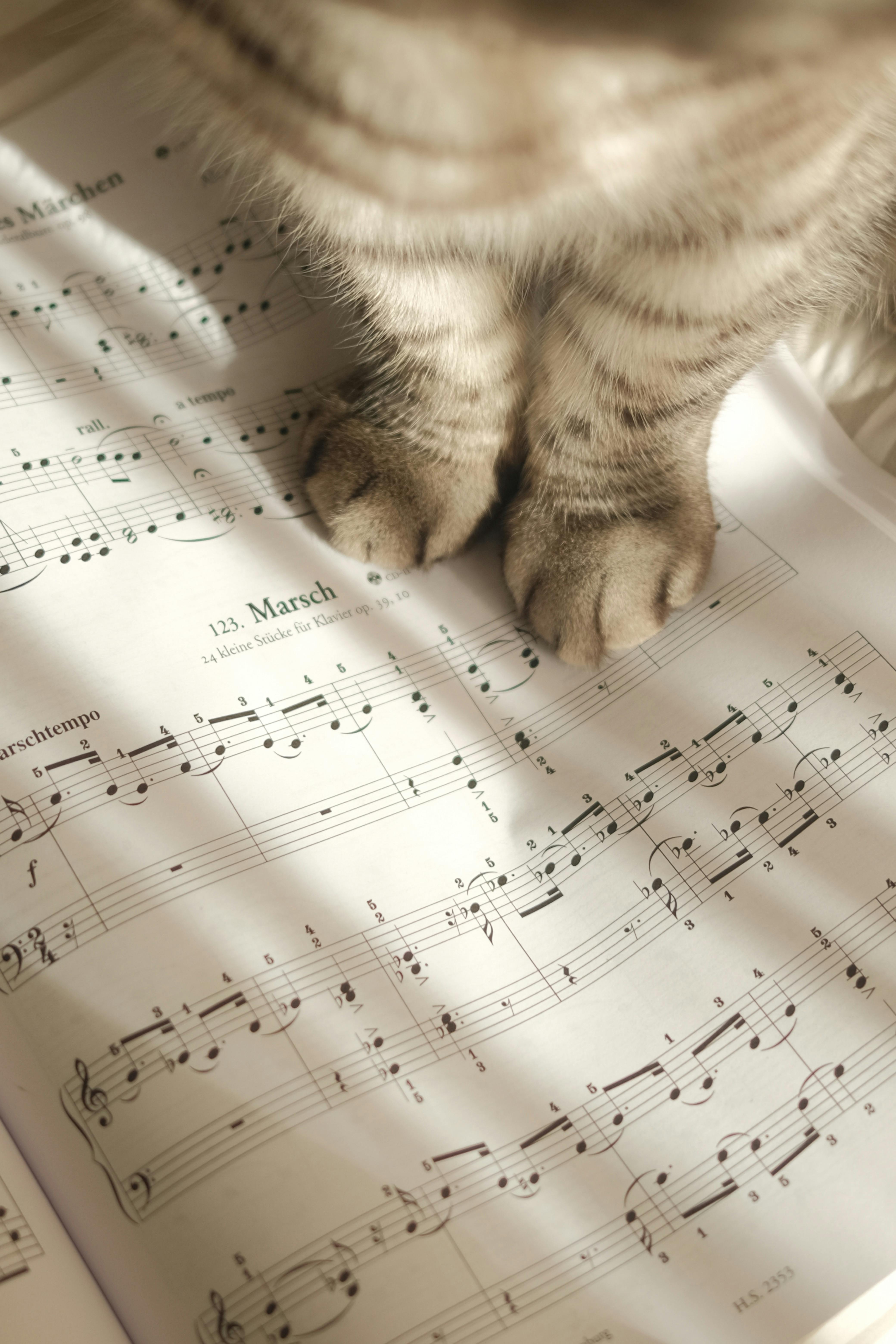 Quiet Acknowledgement Photos, Download The BEST Free Quiet ...