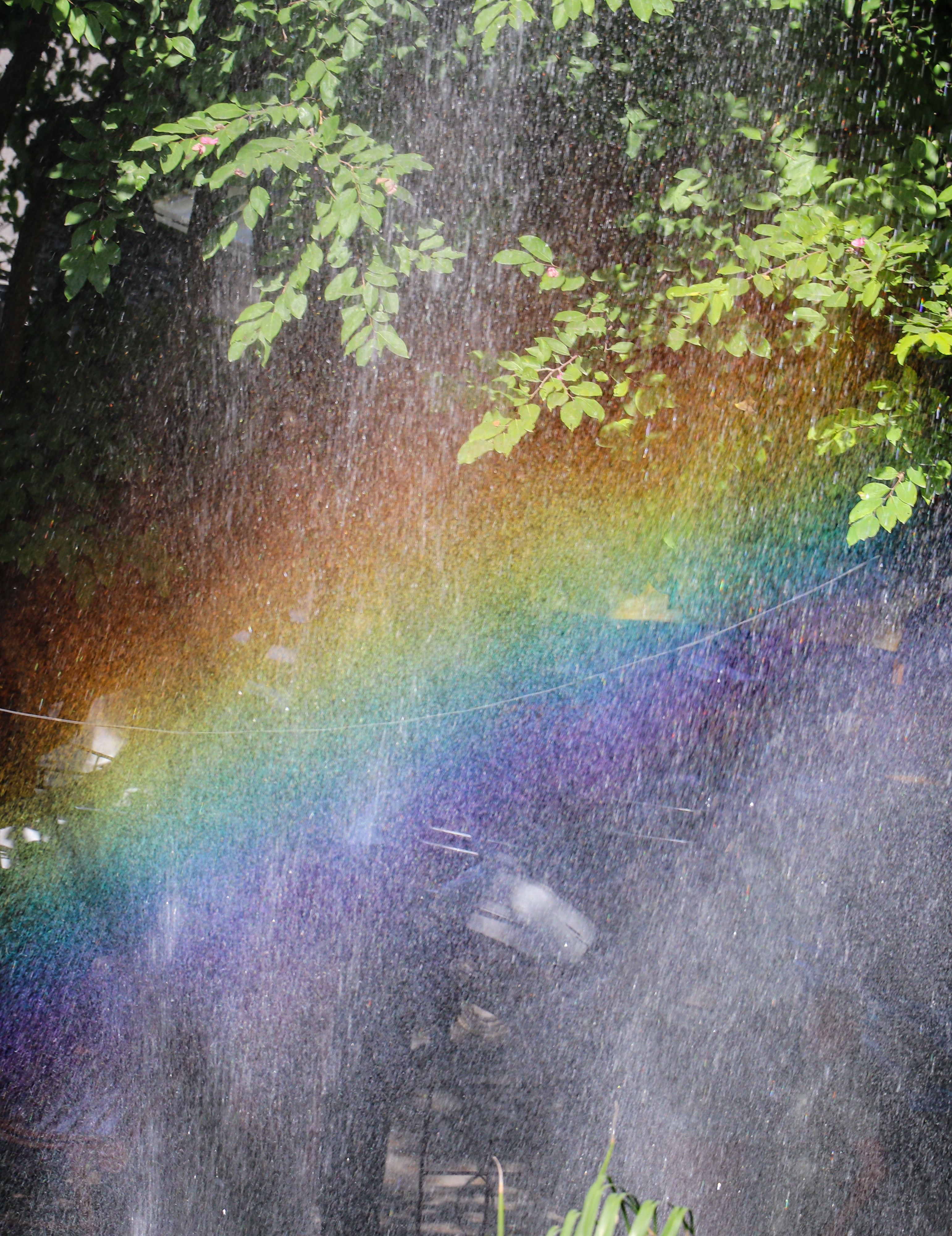 Vibrant Rainbow in Sunlit Garden Rain · Free Stock Photo