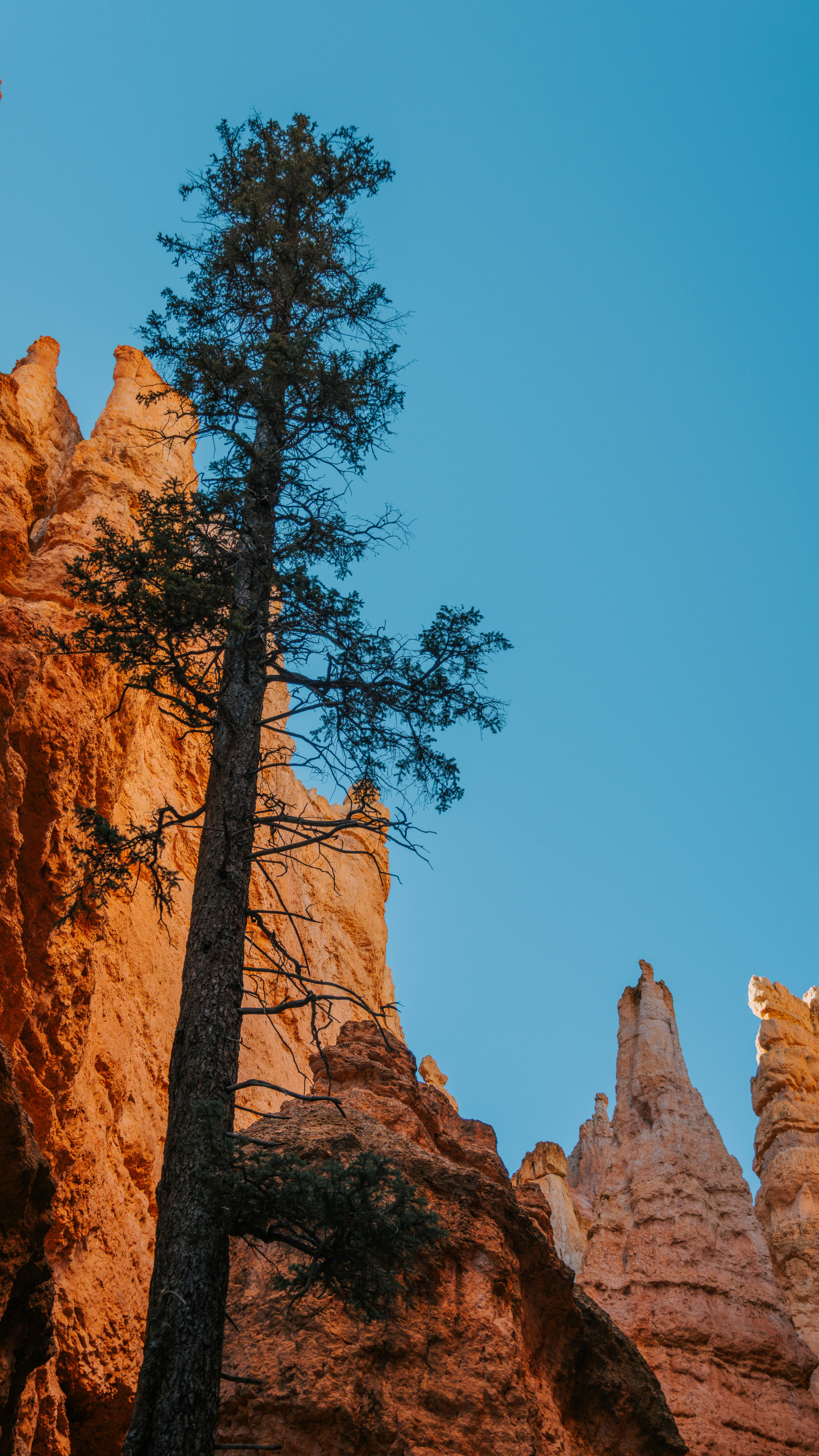 8k Wallpaper Game Of Thorn Photos, Download The BEST Free 8k Wallpaper ...