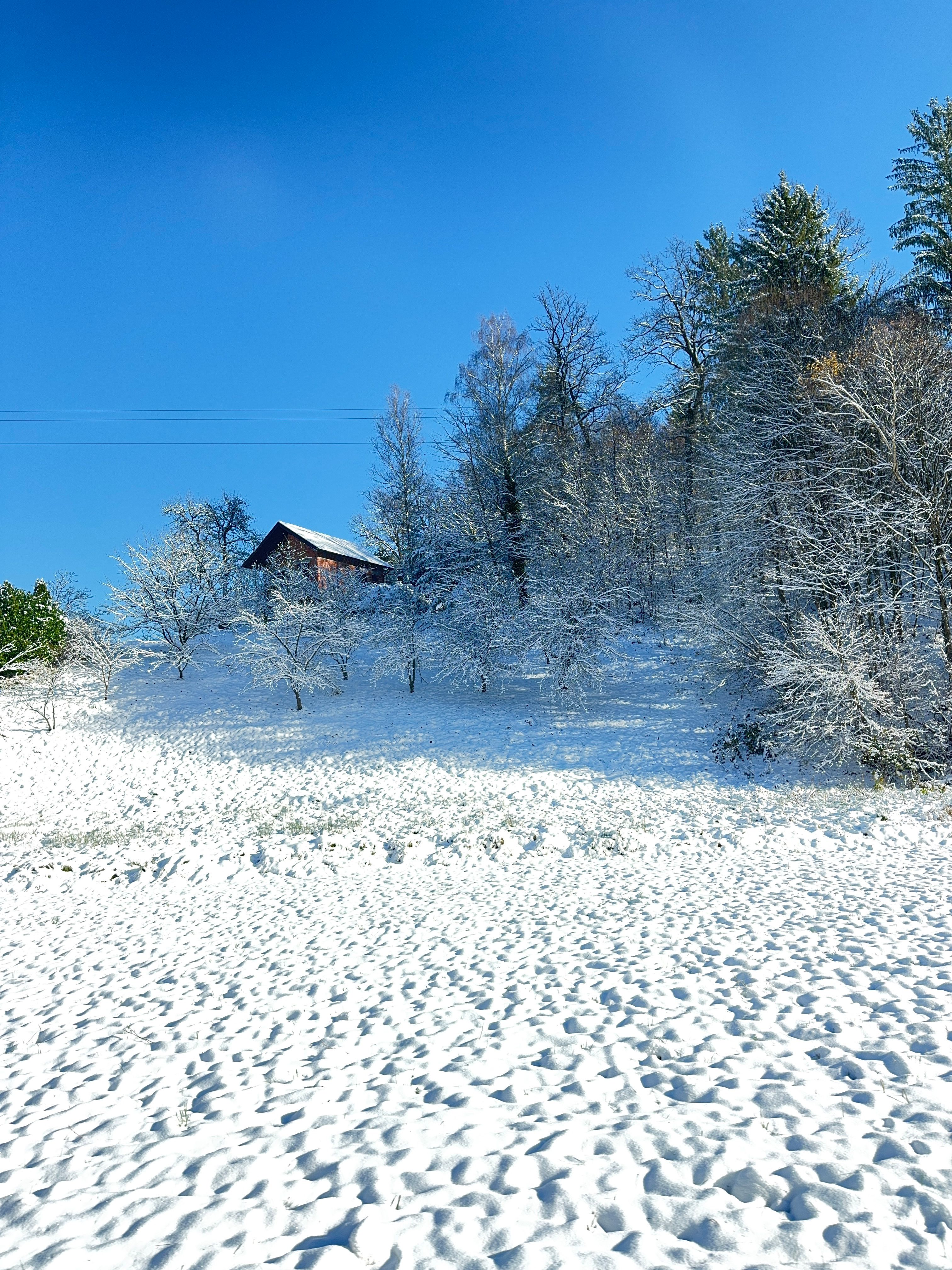 Snowy Winter Landscape with Cabin and Trees · Free Stock Photo