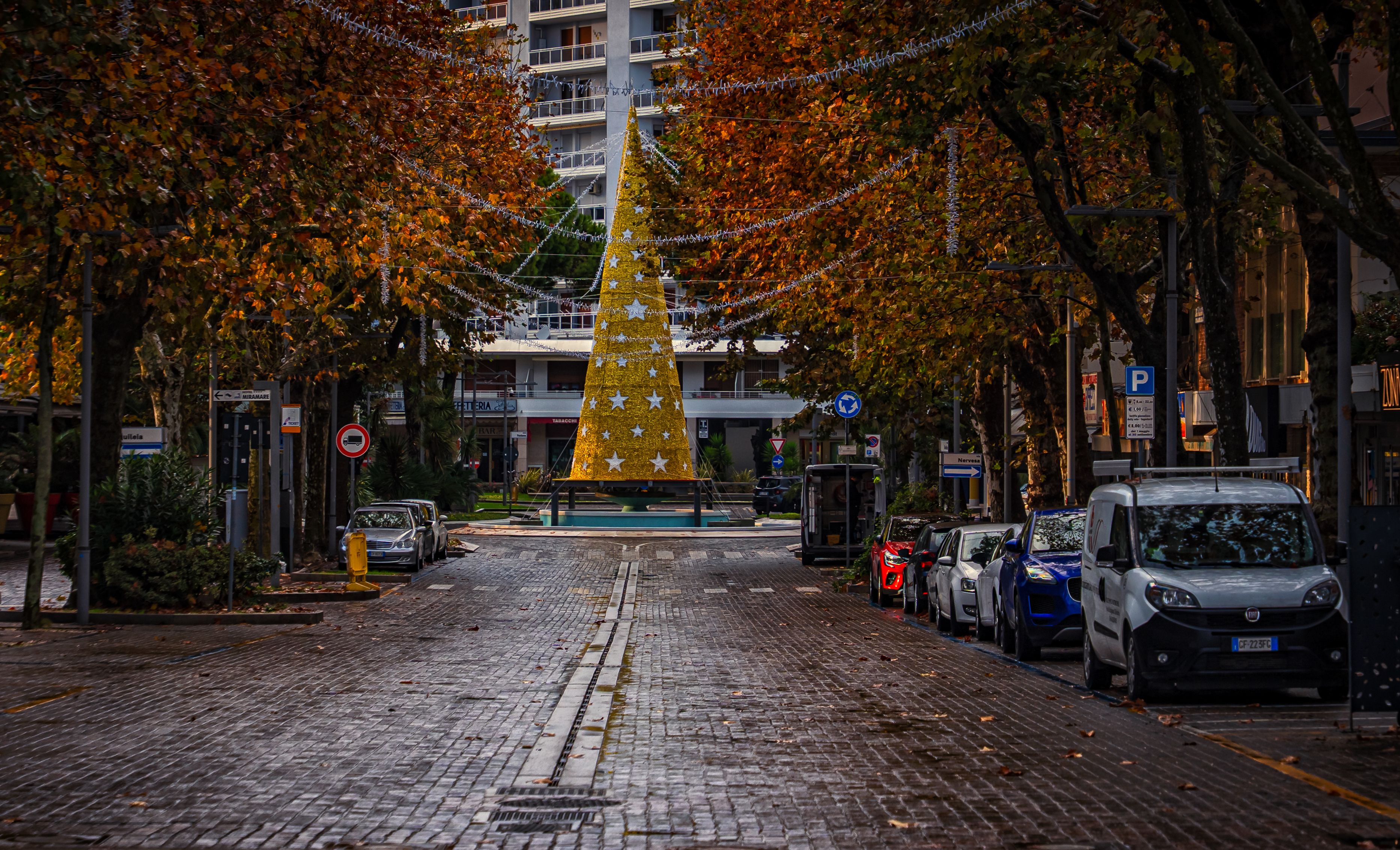 Festive Street with Large Christmas Tree Display · Free Stock Photo