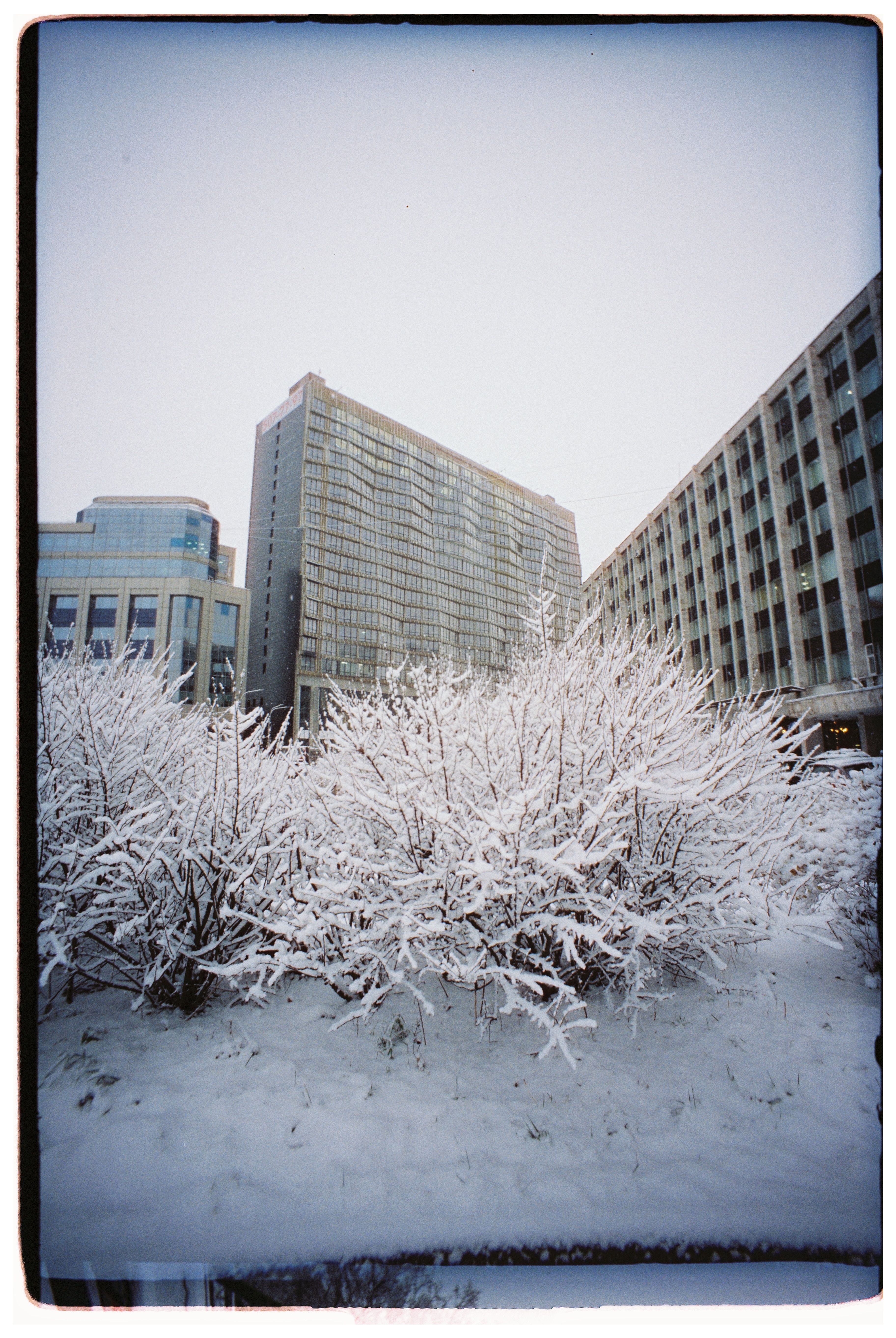 Snow-Covered Urban Landscape with Buildings · Free Stock Photo