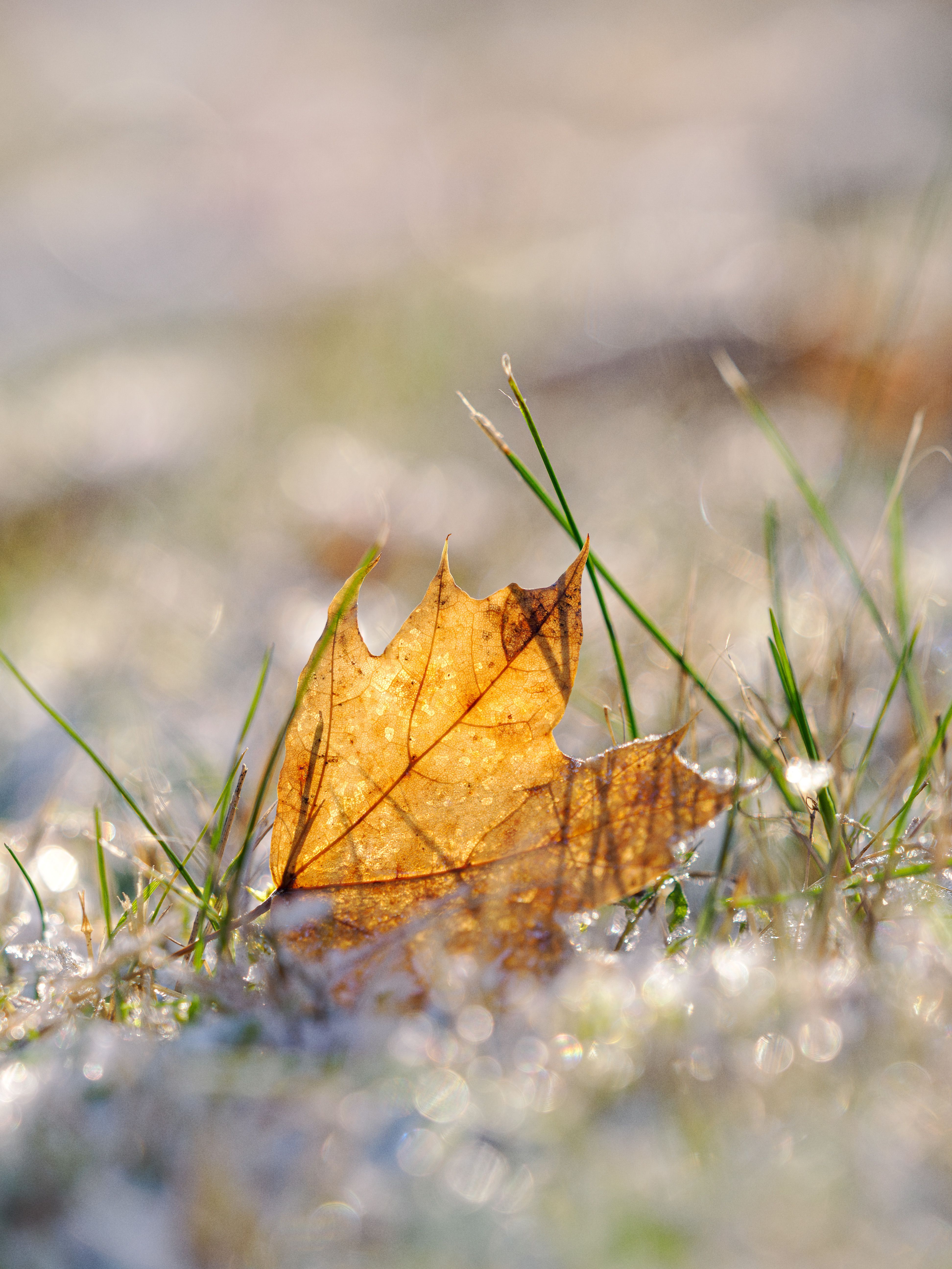 50.000+ Freezing Process Bilder und Fotos · Kostenlos Downloaden ...