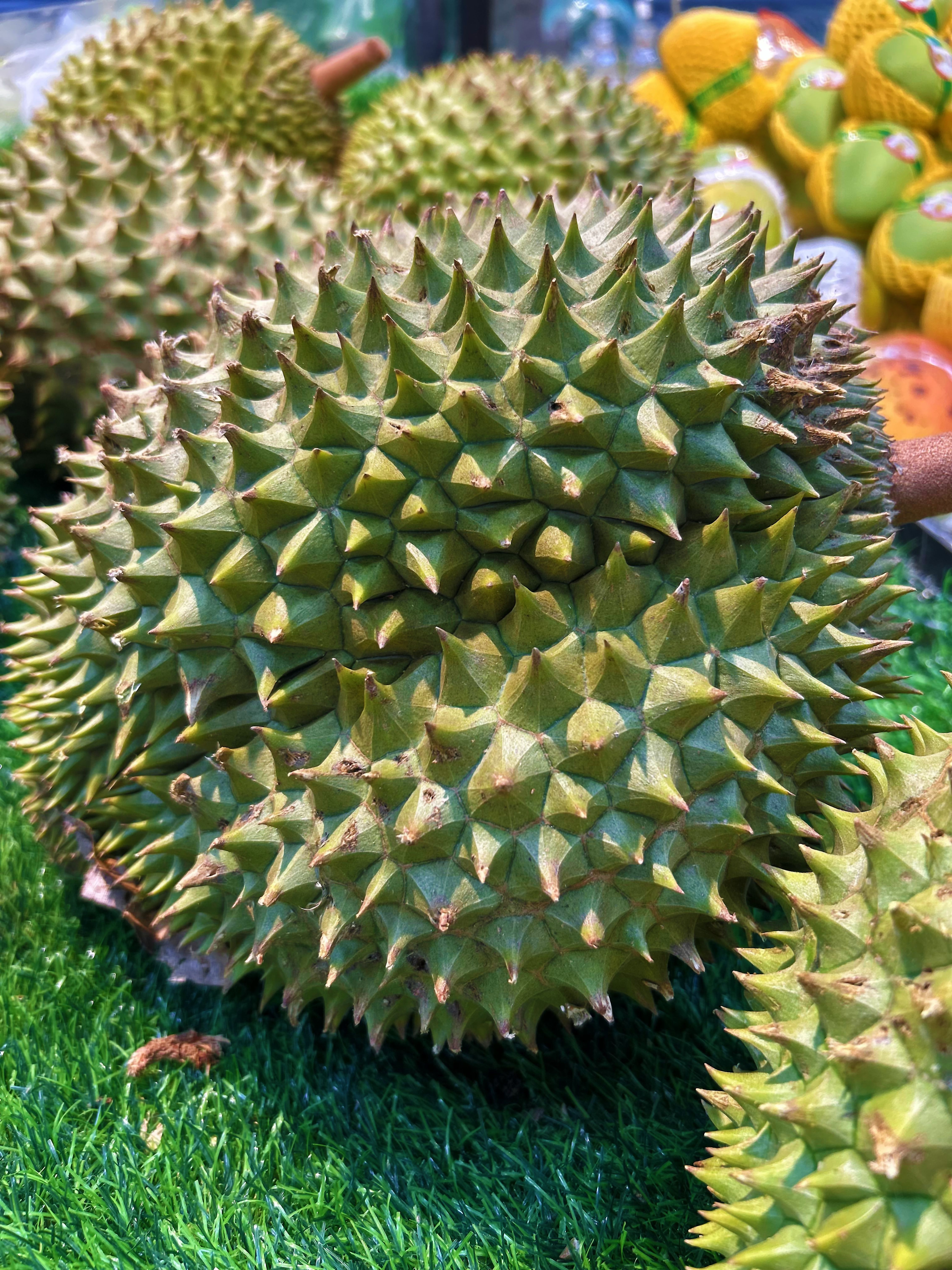 Close-up of Spiky Durian Fruit on Grass · Free Stock Photo