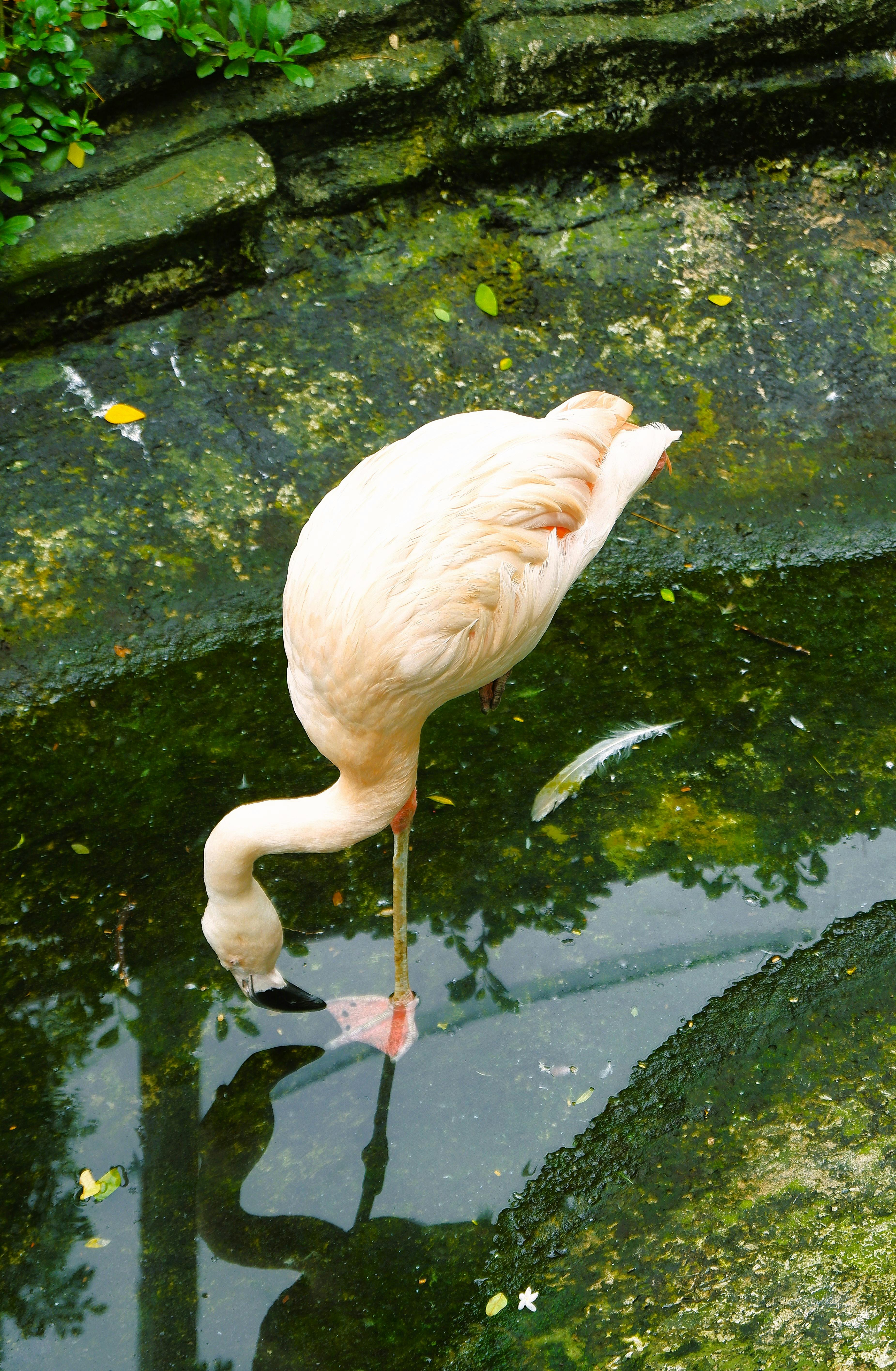 Laura+B+Aucfan+Images Photos, Download The BEST Free Laura+B+Aucfan ...