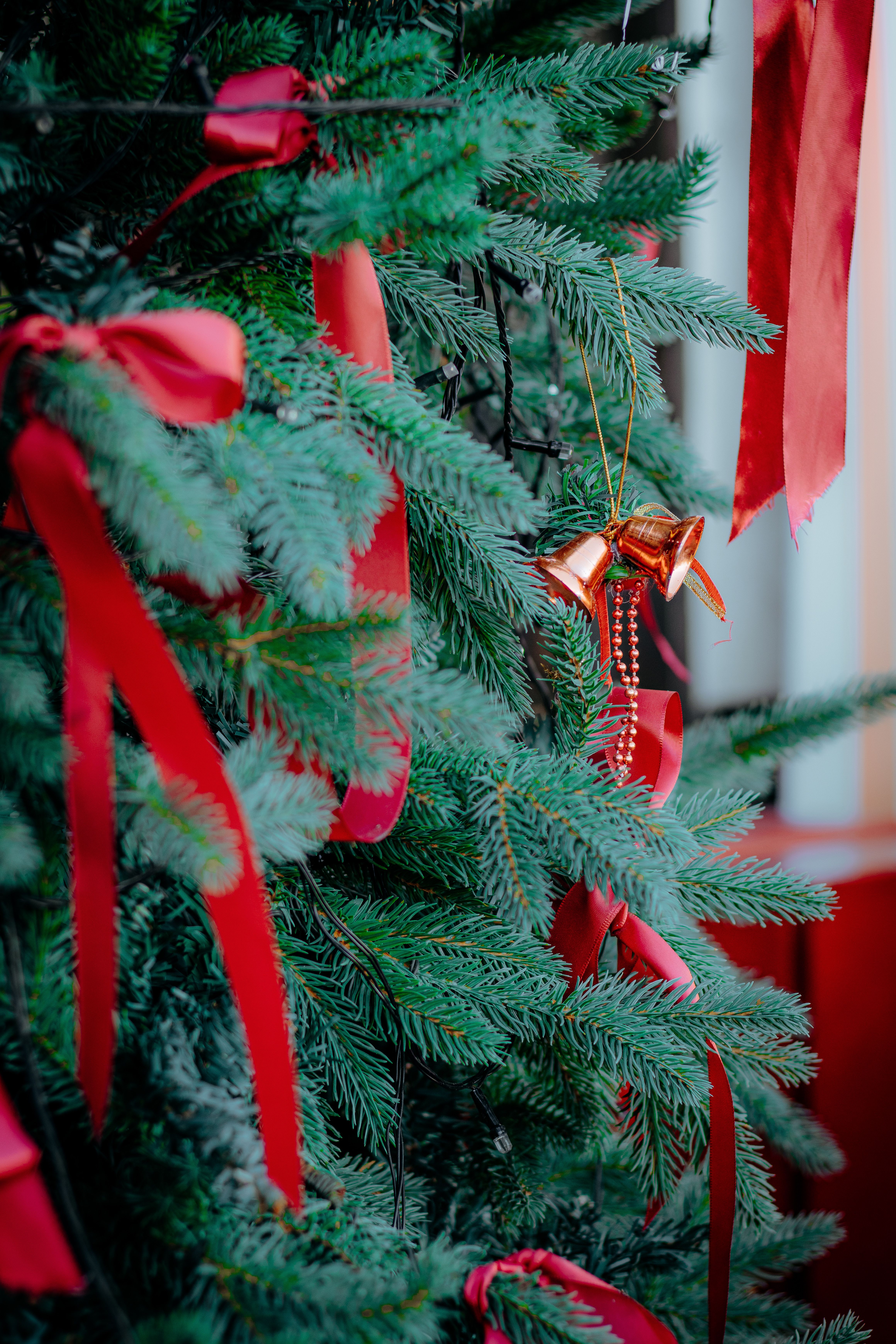 Photo of Red Christmas Tree Decor · Free Stock Photo