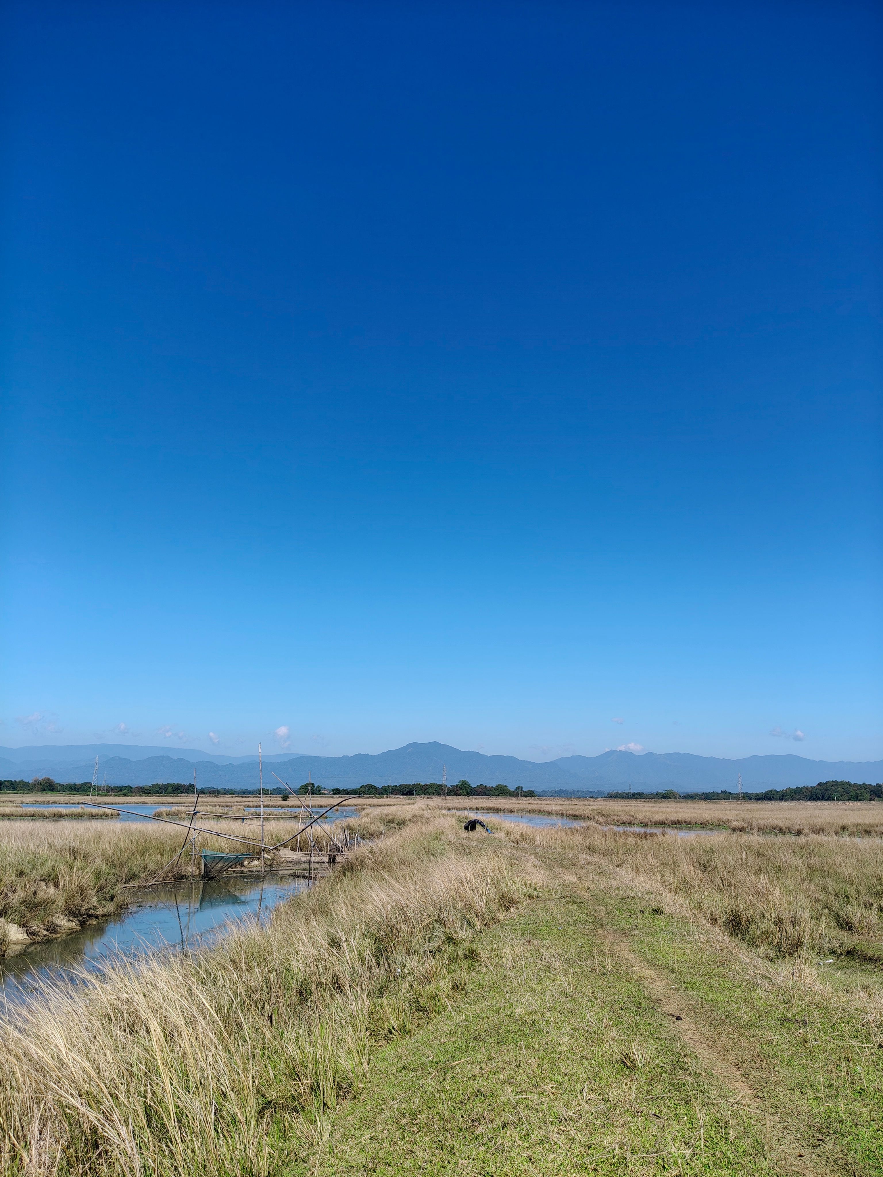 Serene Wetland View in Silchar, India · Free Stock Photo