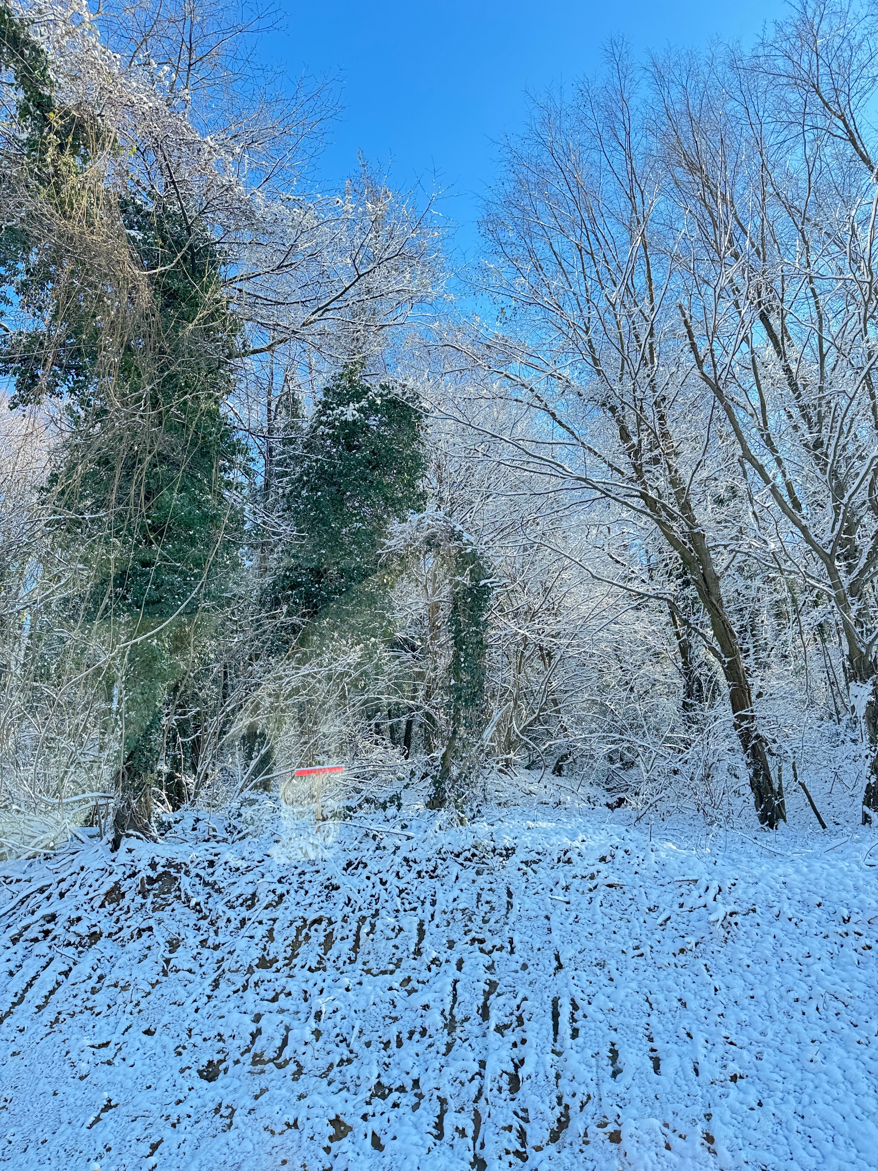January Scene Photos, Download The BEST Free January Scene Stock Photos ...