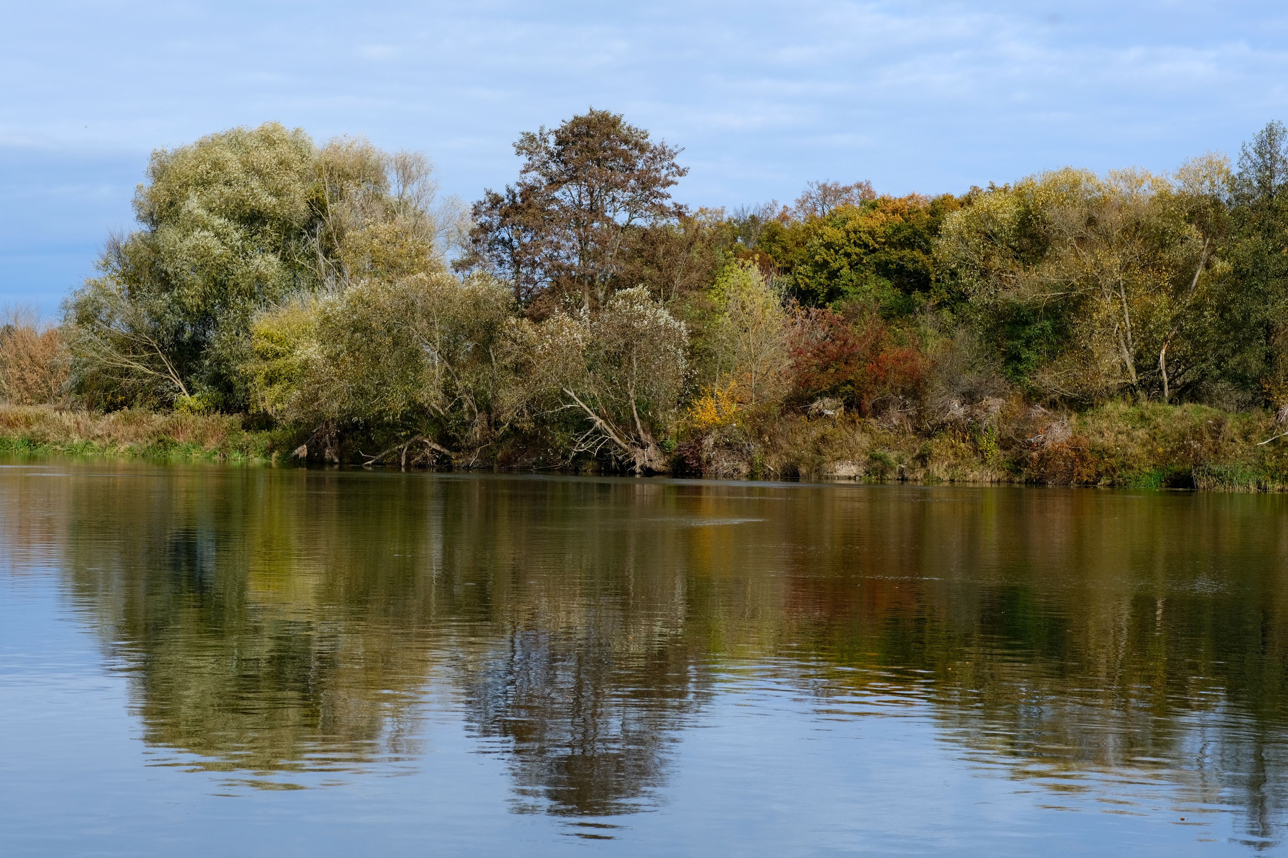 Serene Autumn River Landscape Reflections · Free Stock Photo
