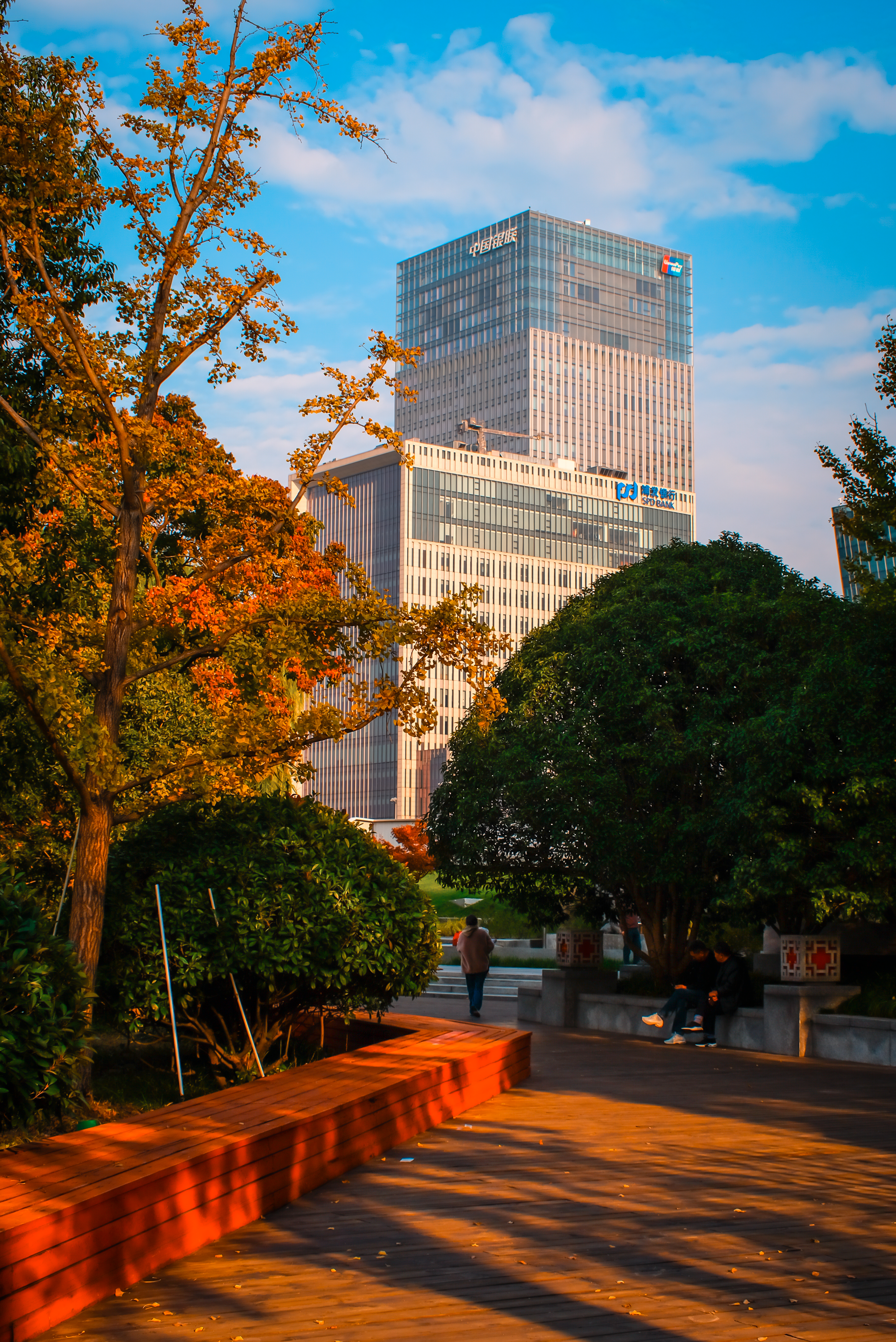 Urban Park with Autumn Foliage and Skyscraper · Free Stock Photo