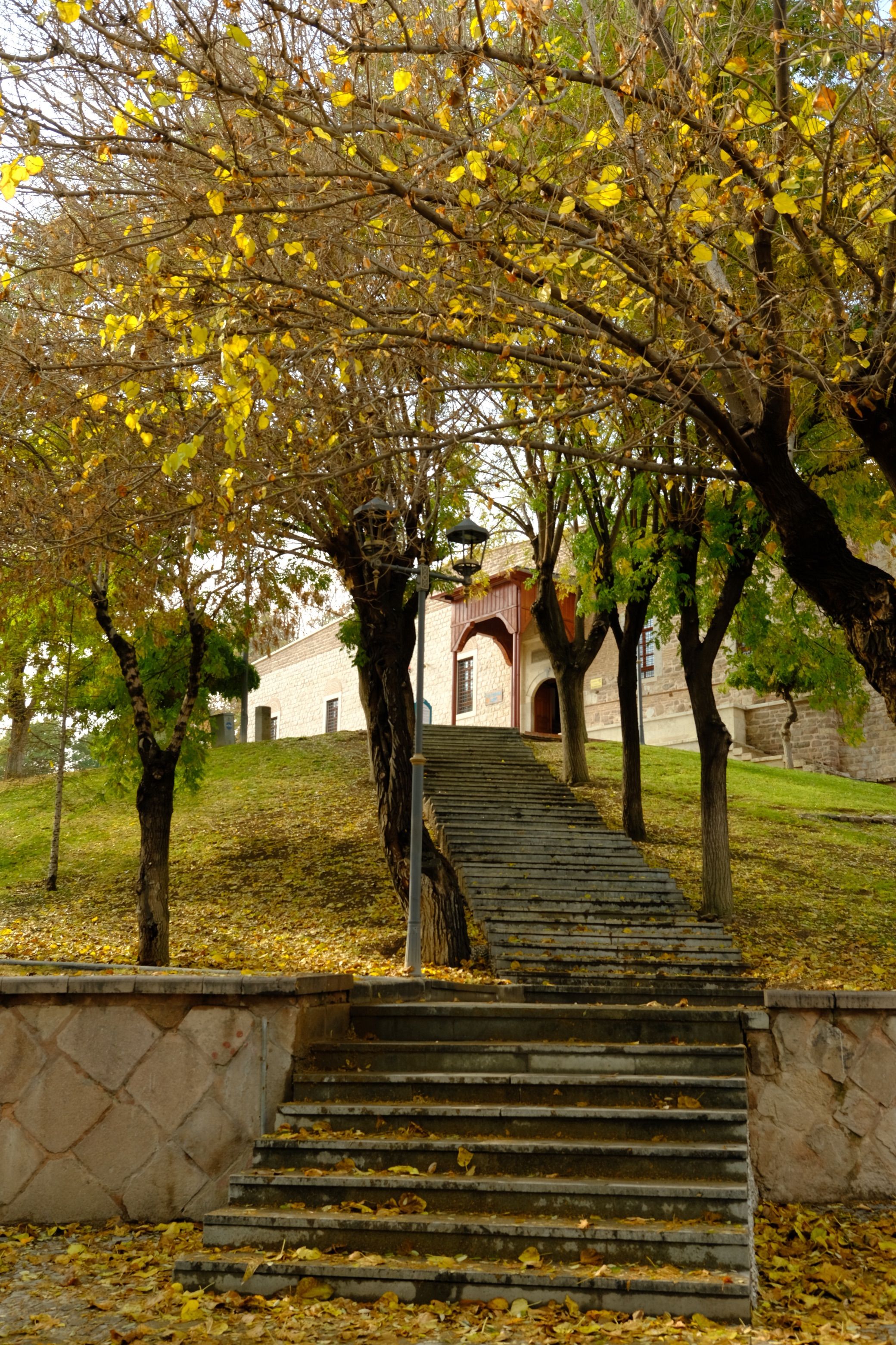 Stone Staircase Leading to Historic Building in Fall · Free Stock Photo