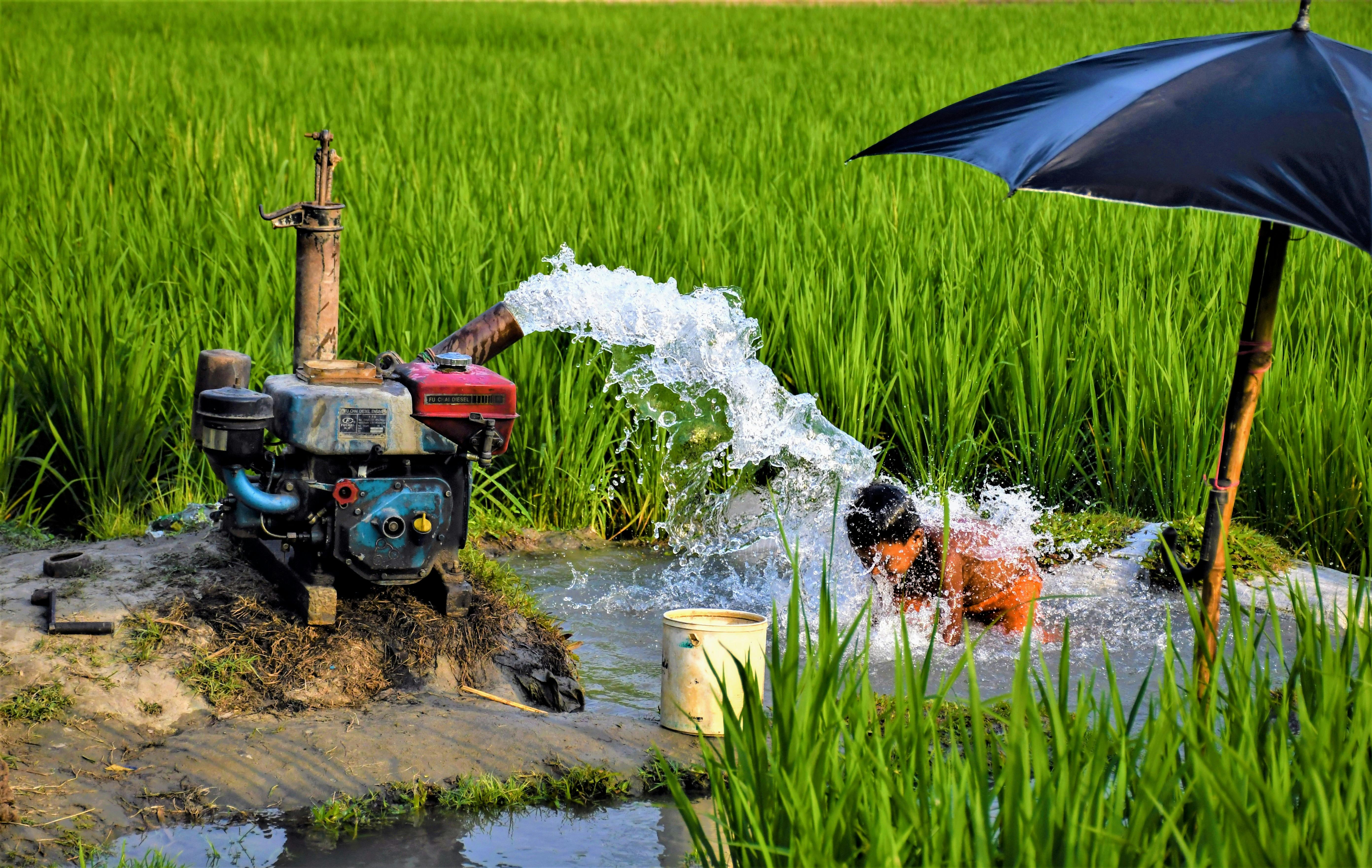 Pump Kl Photos, Download The BEST Free Pump Kl Stock Photos & HD Images