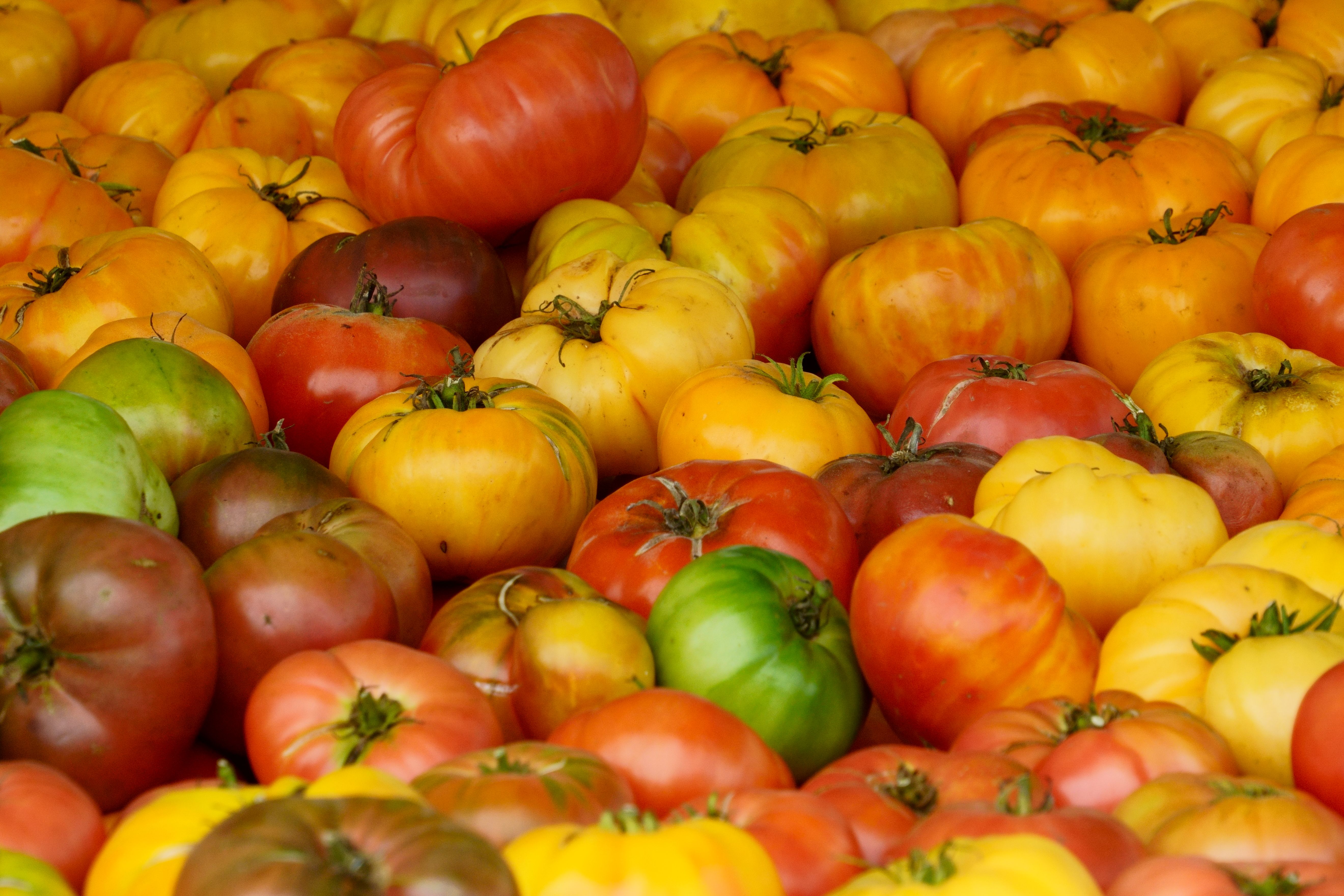 Uae Farmers Markets Photos, Download The BEST Free Uae Farmers Markets ...