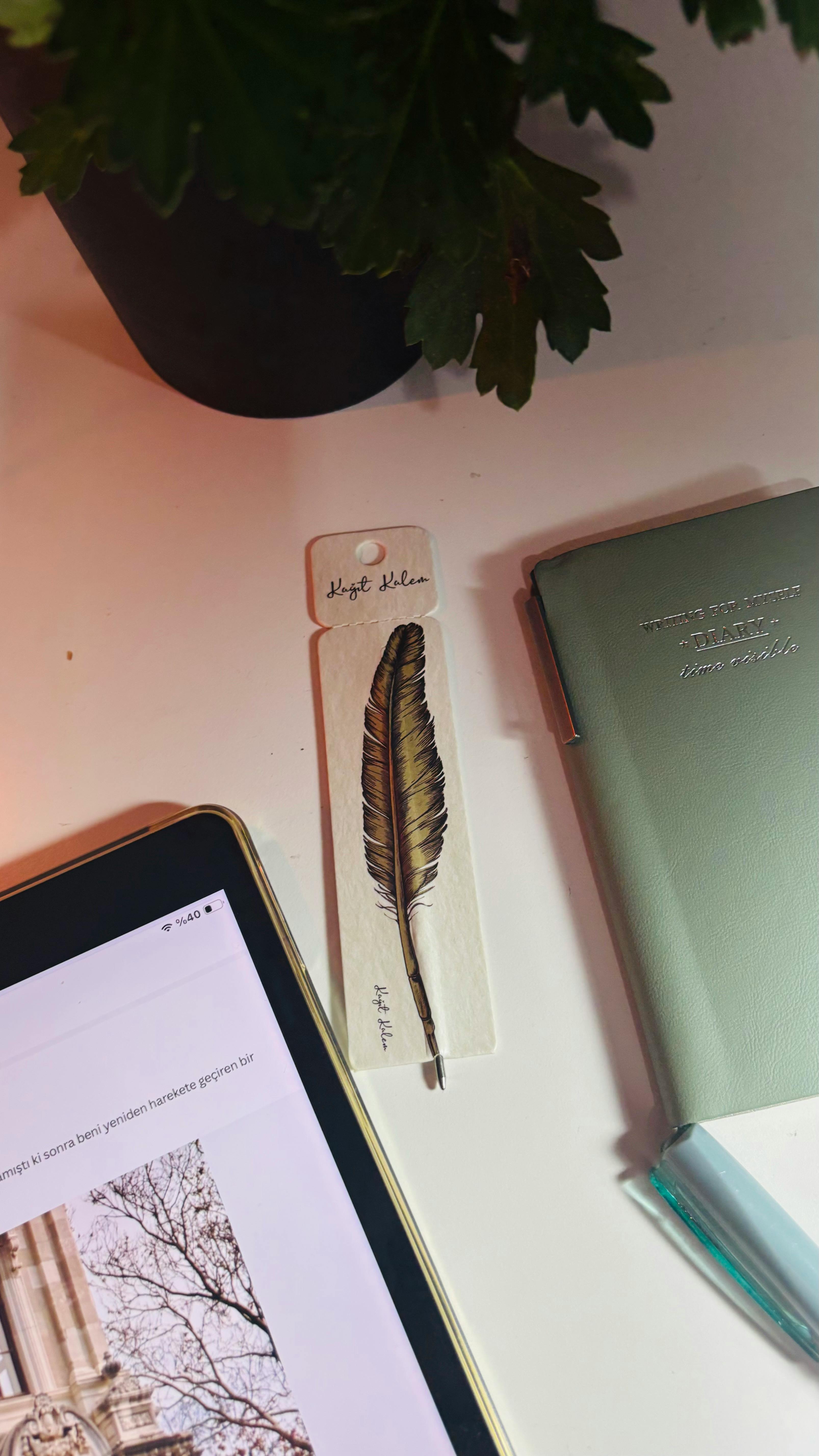 Artistic Workspace with Feather Bookmark · Free Stock Photo