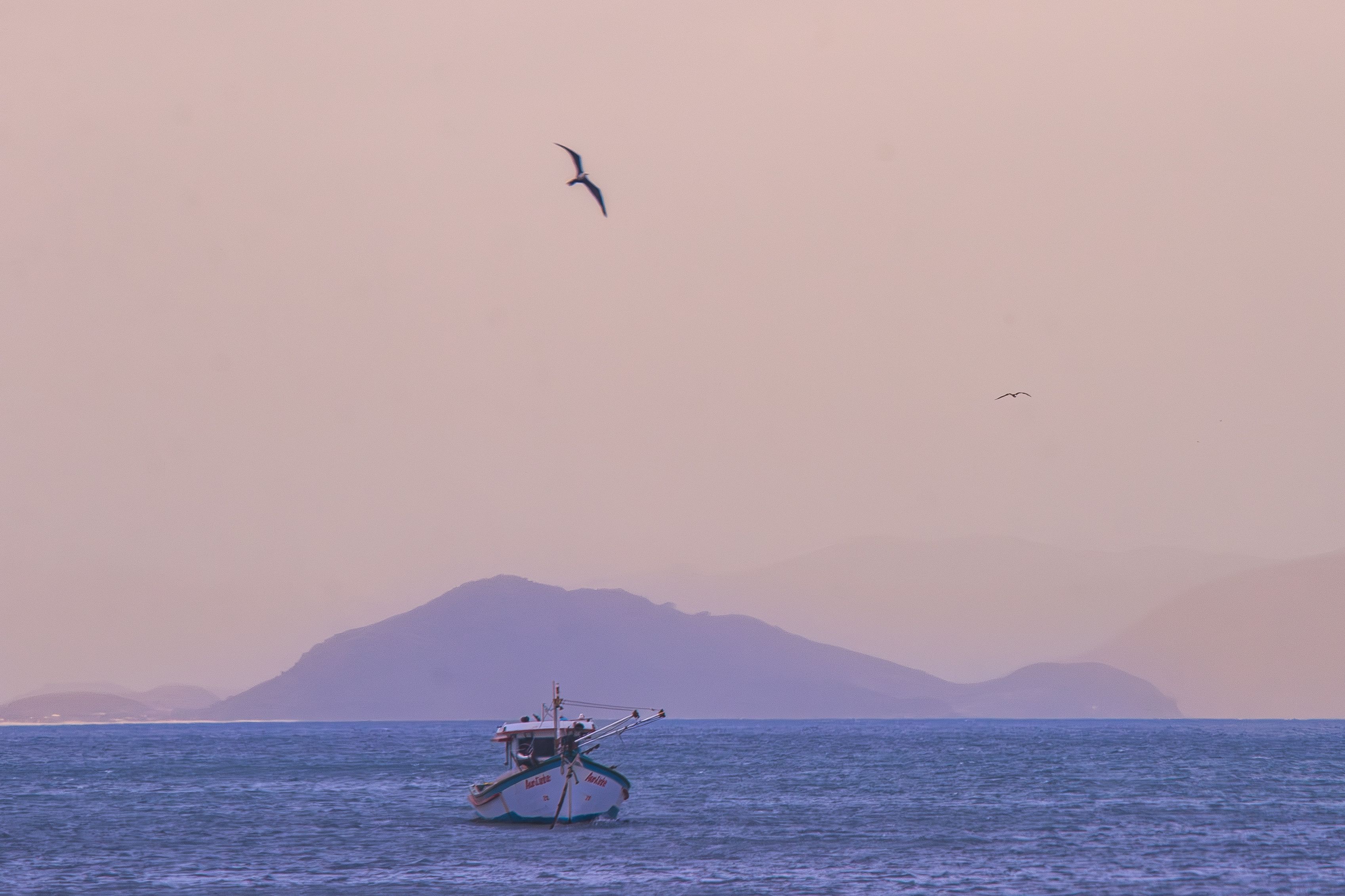 Serene Evening View of Fishing Boat and Bird · Free Stock Photo