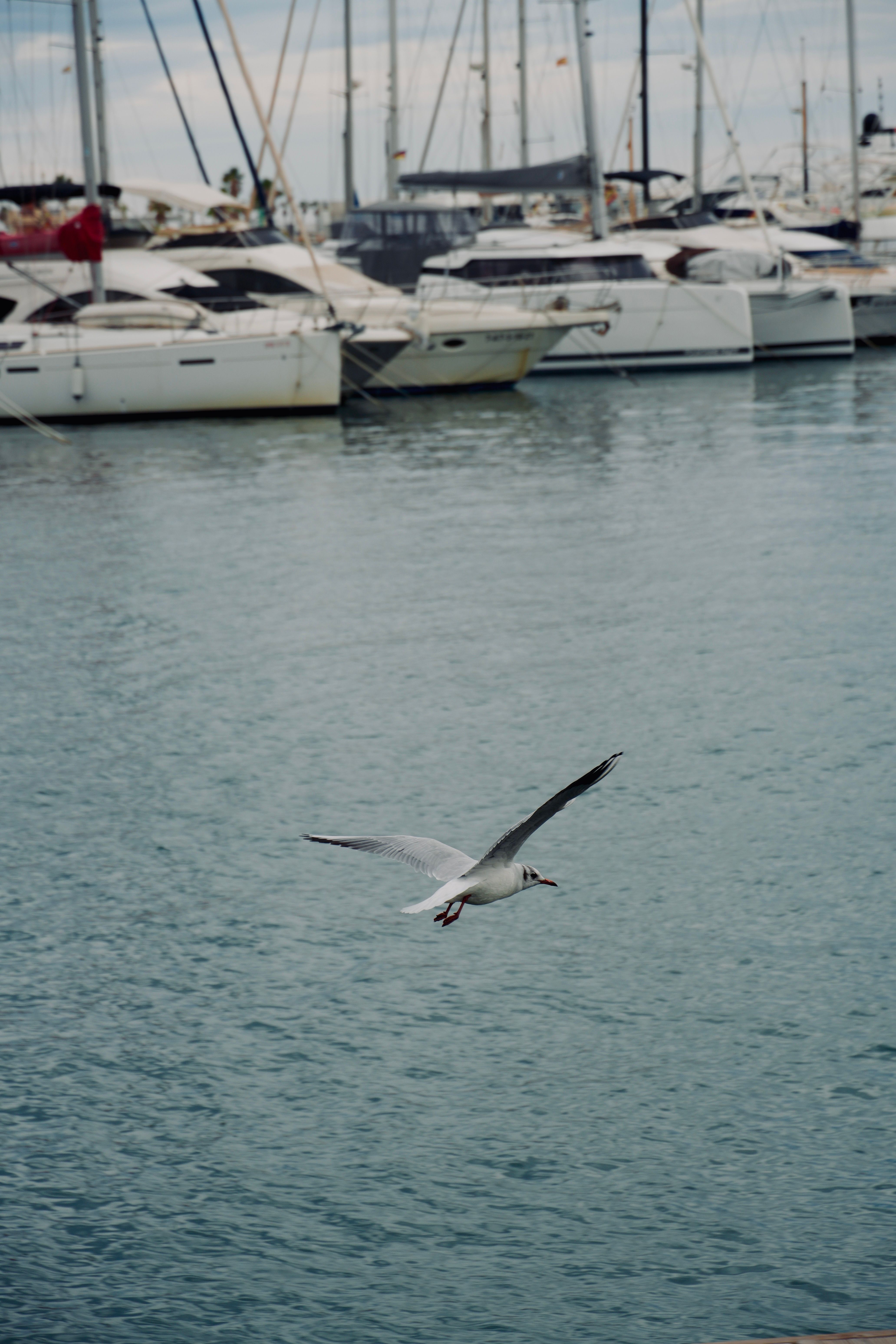 Flying With Adab Rigging Certification Photos, Download The BEST Free ...