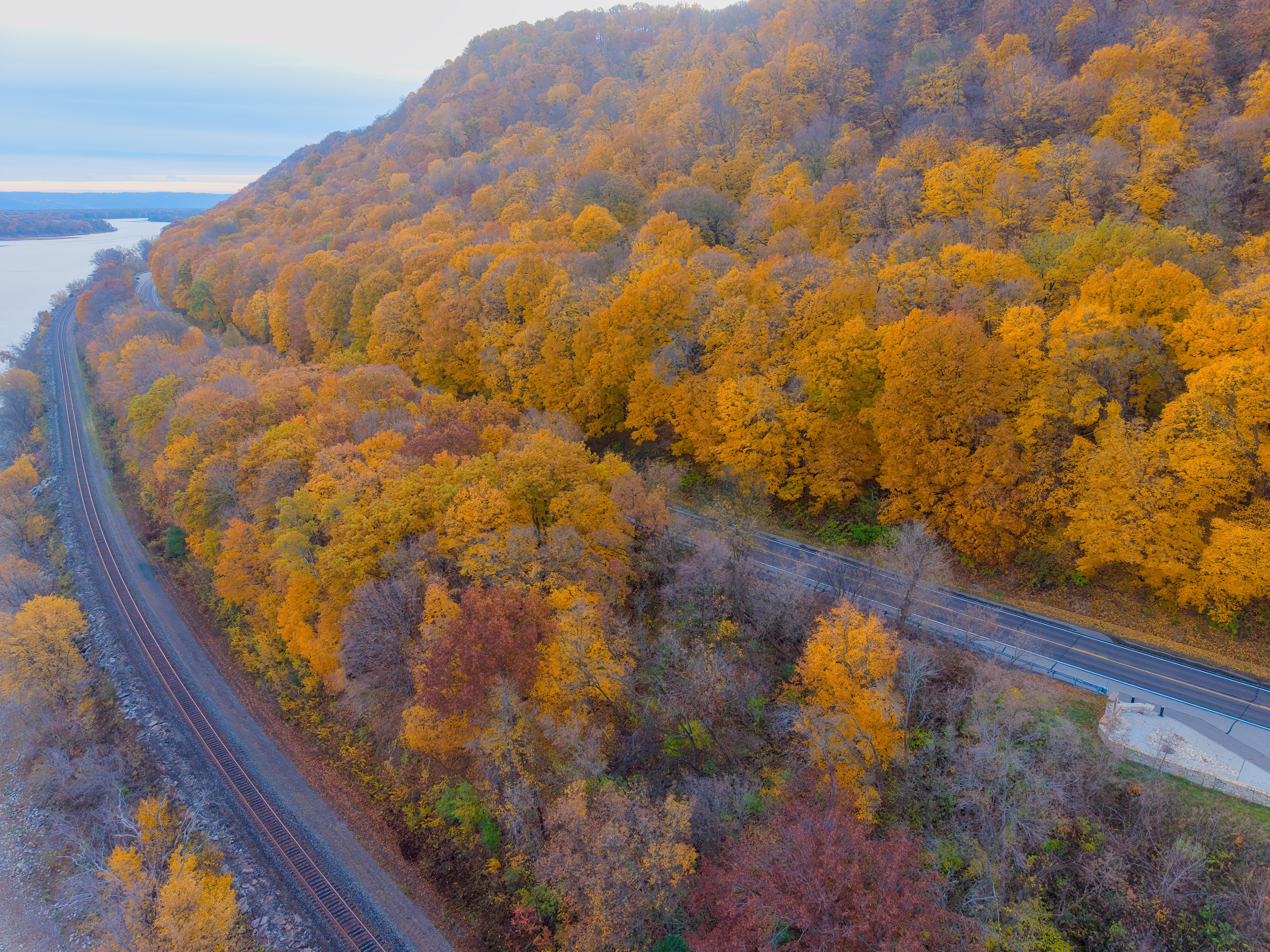 Aerial View of Autumnal Forest in Reads Landing · Free Stock Photo