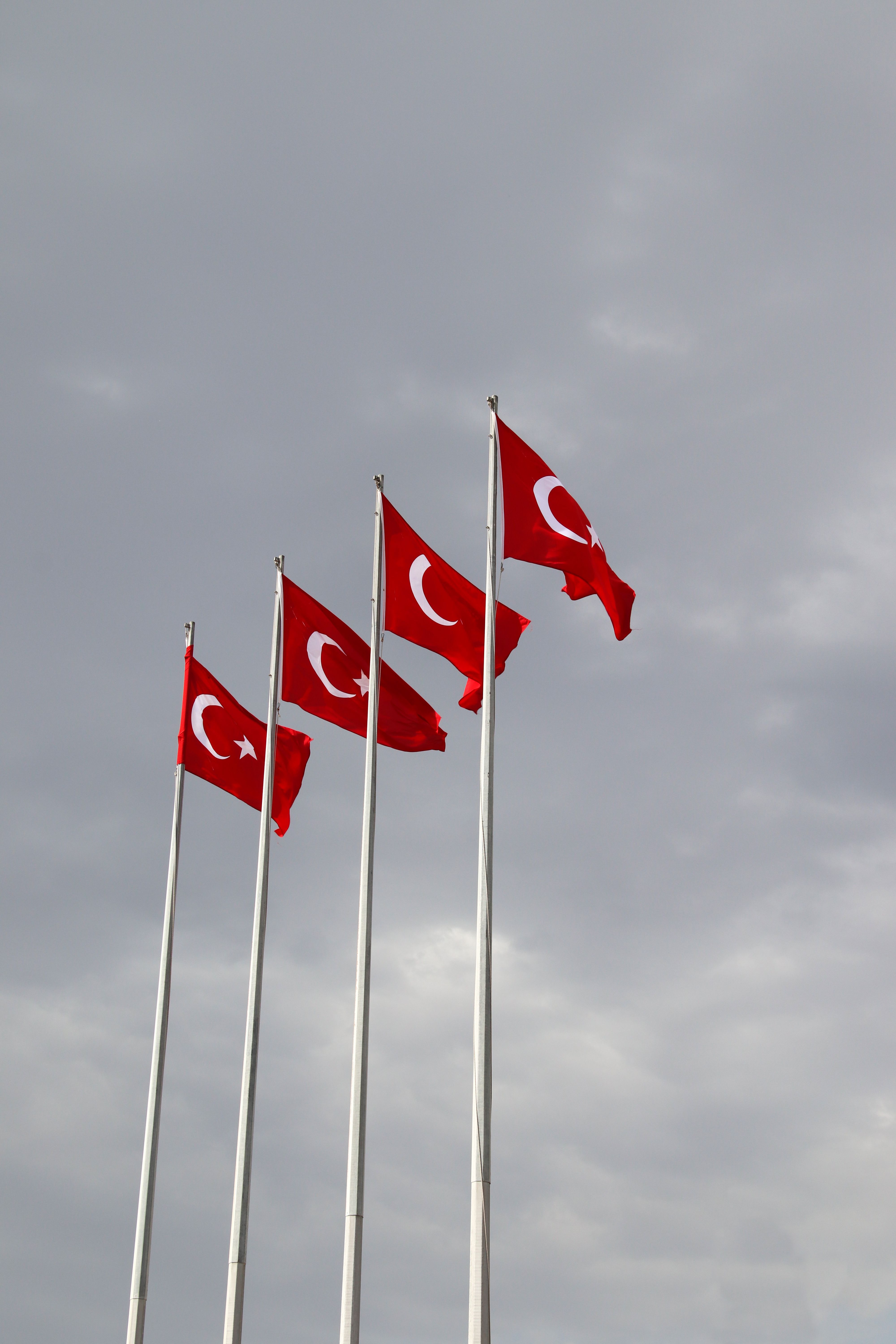 Turkish Flags Waving Against Overcast Sky · Free Stock Photo