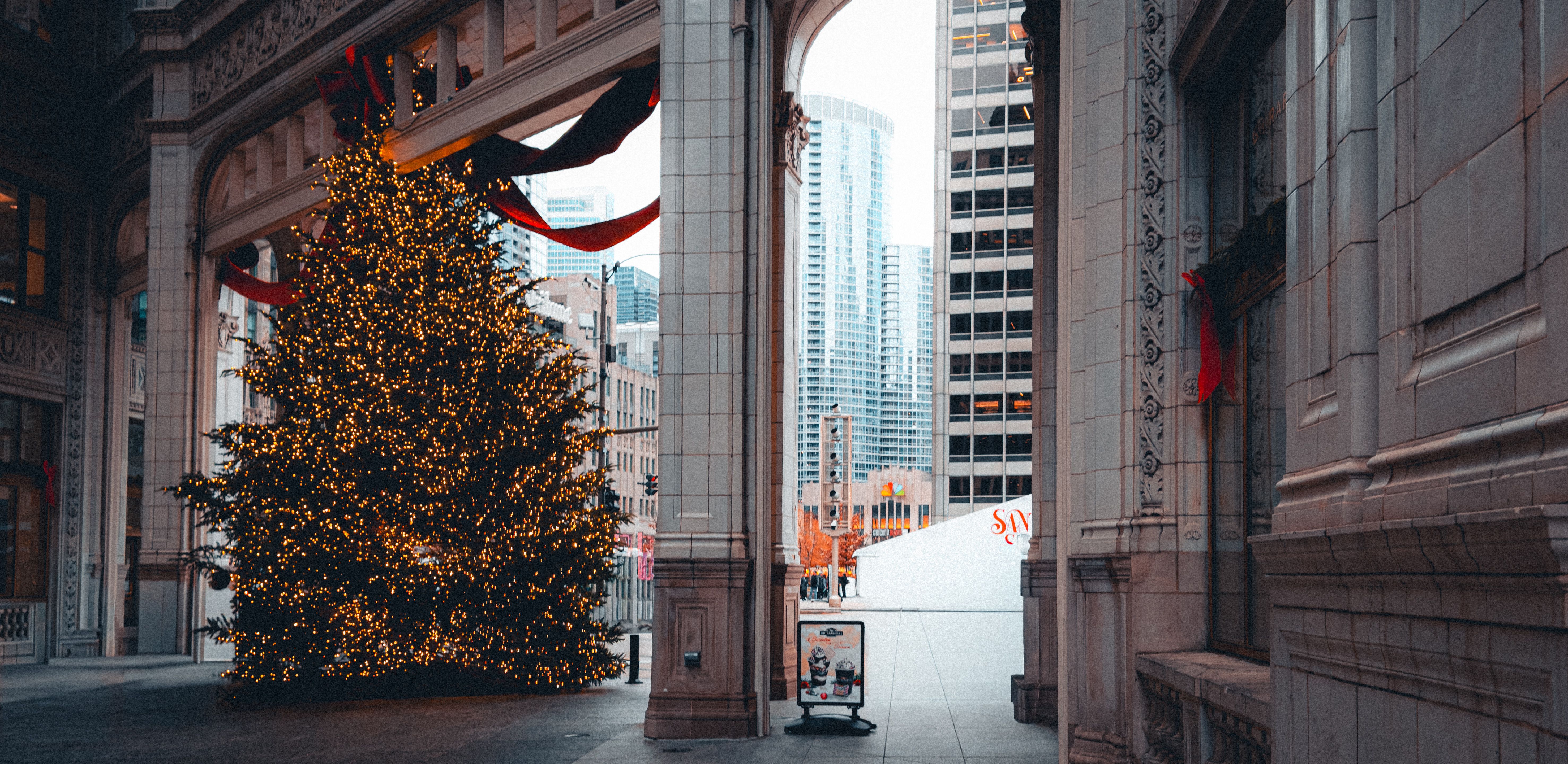 Elegant Urban Christmas Tree in City Archway · Free Stock Photo